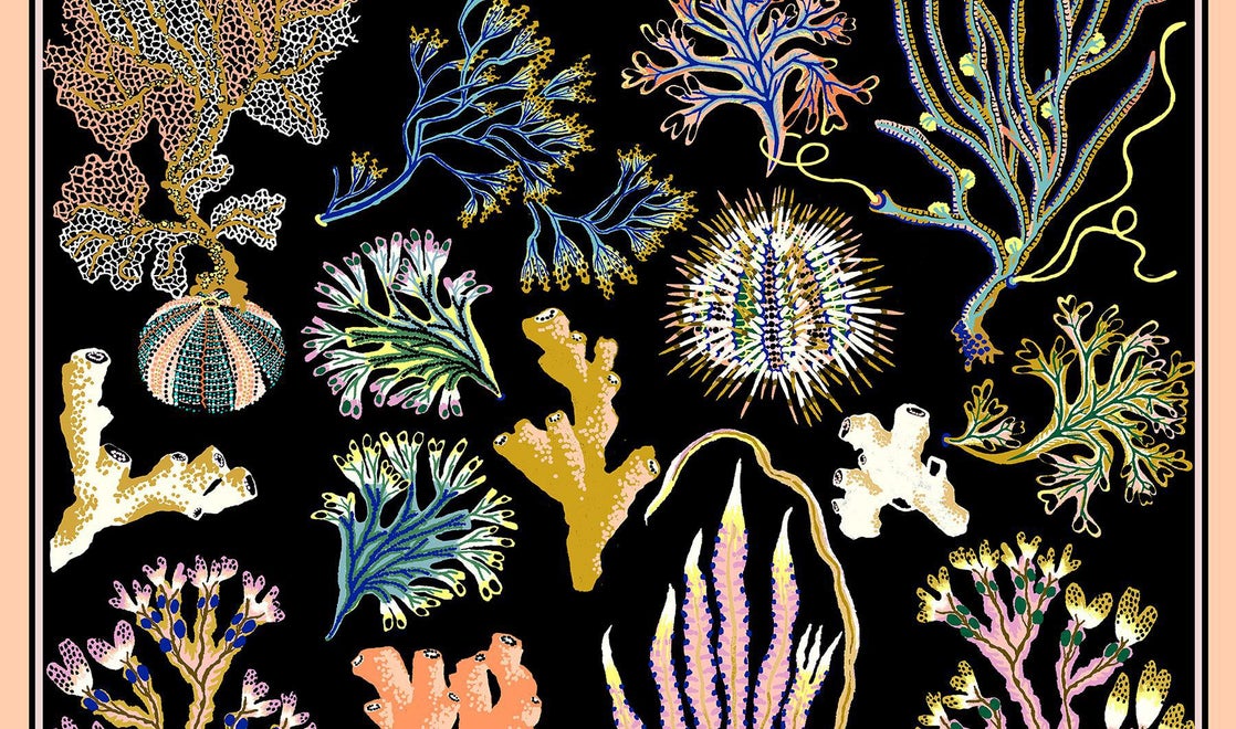 Sarah Gordon Design Collection - For Sale | Chairish