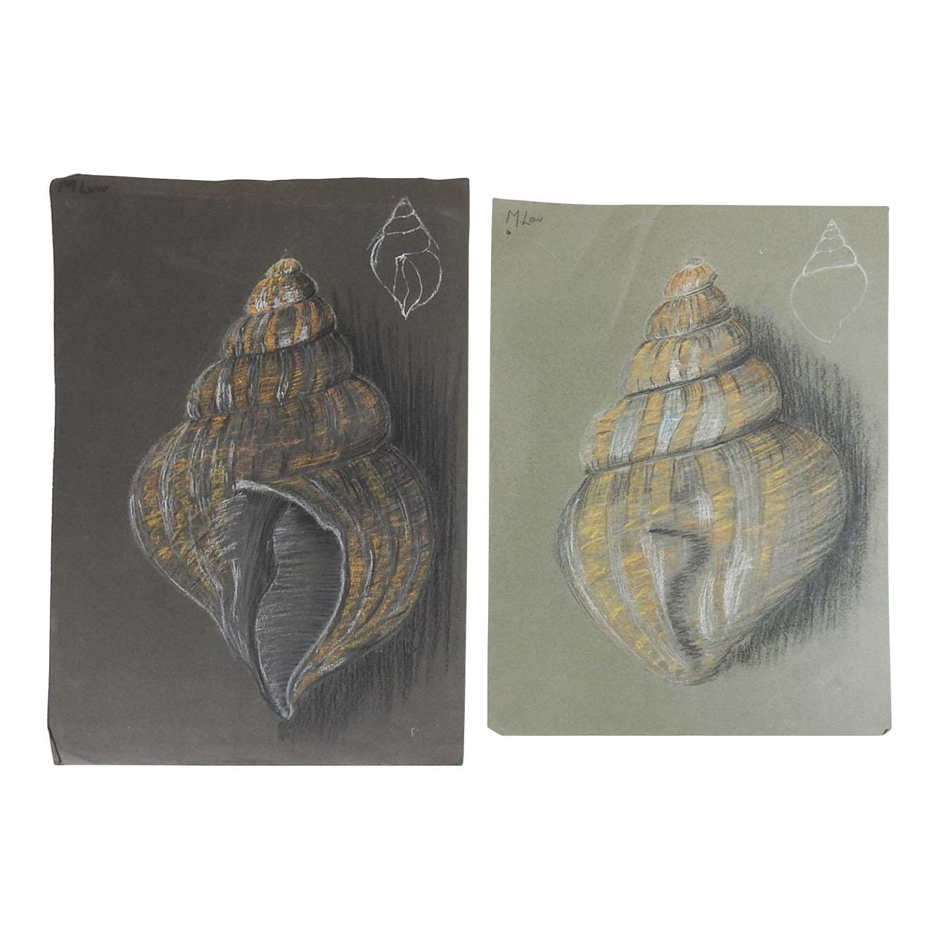 Antique Circa 1910 Shell Pastel Drawings - a Pair | Chairish
