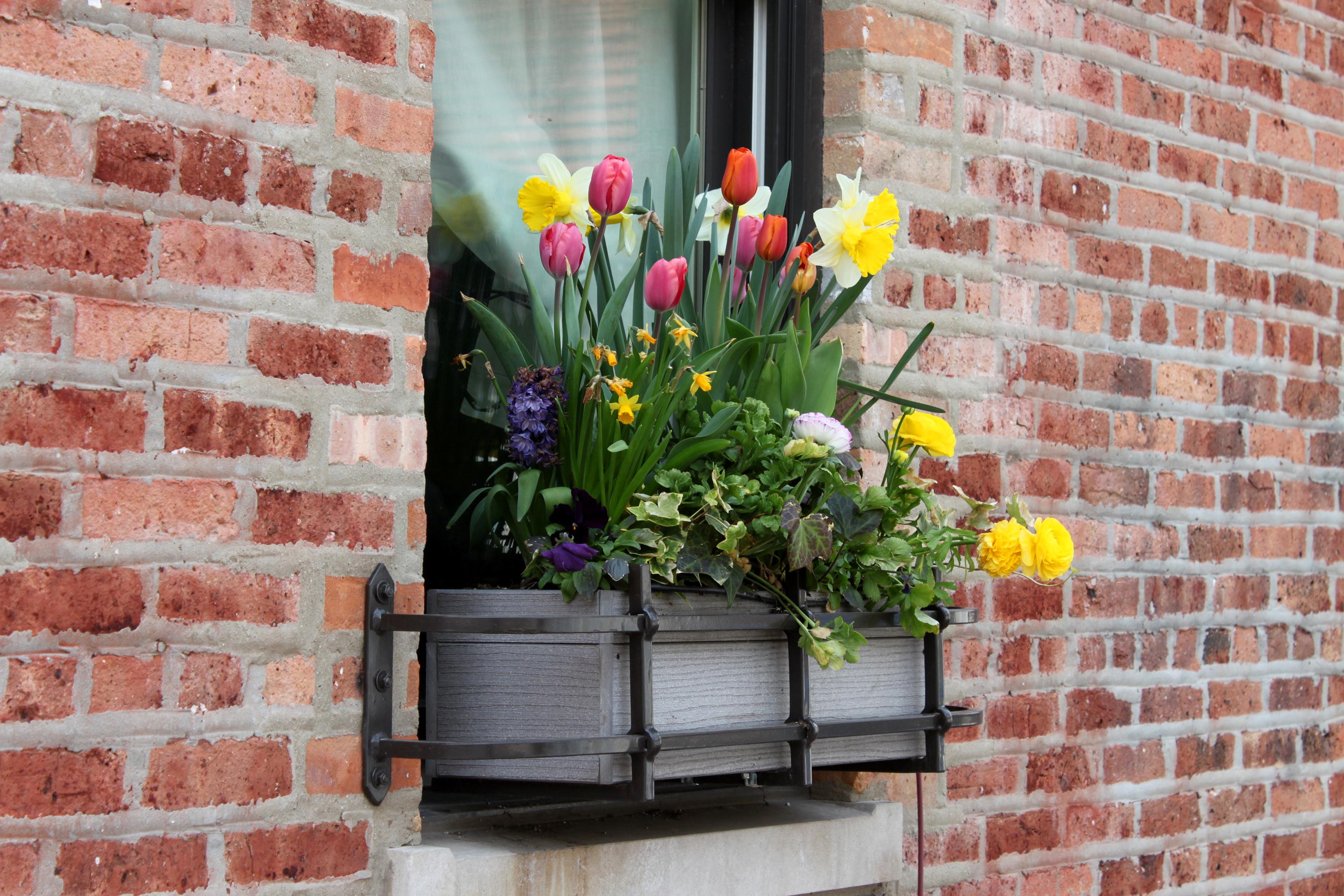 Spring Window Basket Photo by Josh Moulton | Chairish