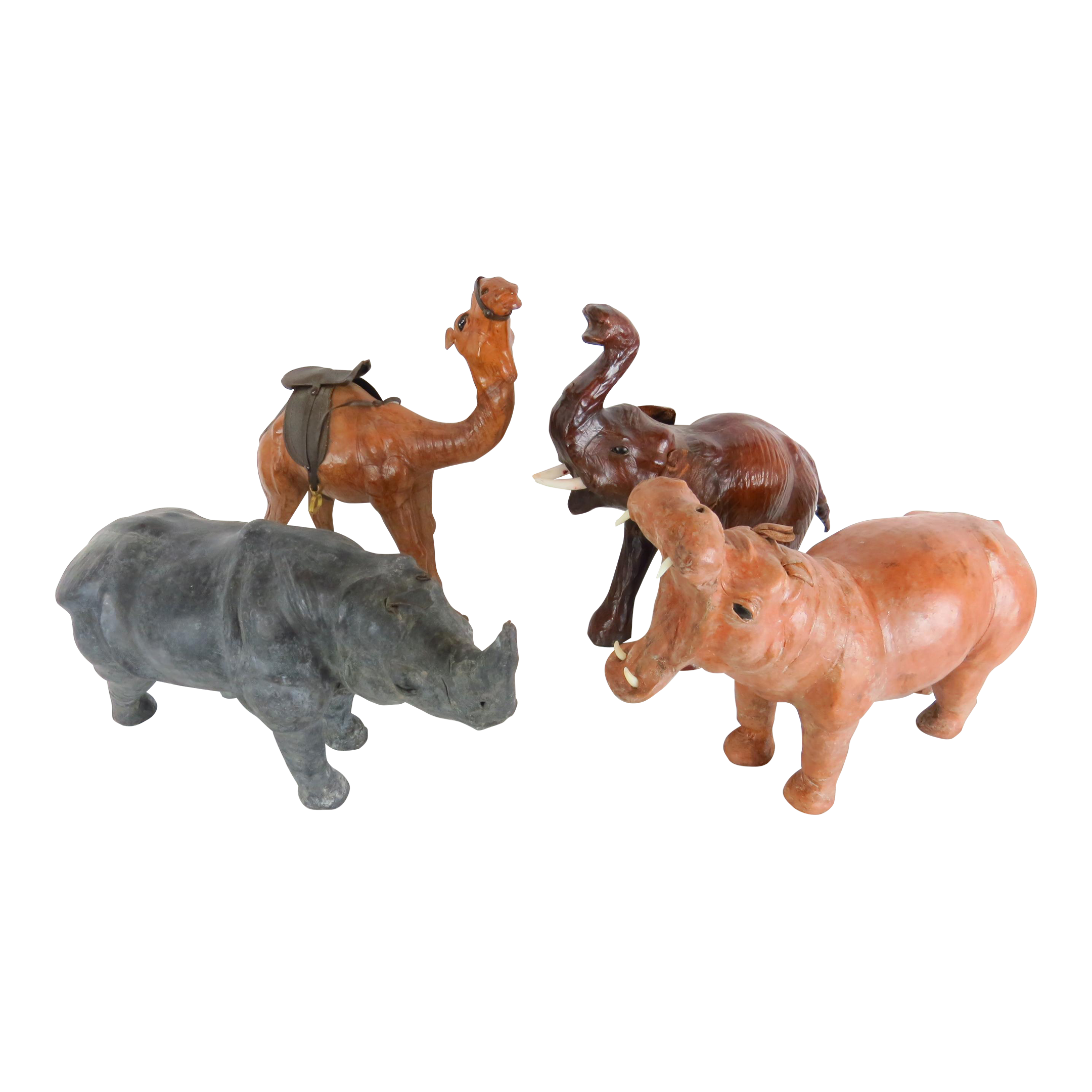 Elephant Vs Rhino Vs Hippo