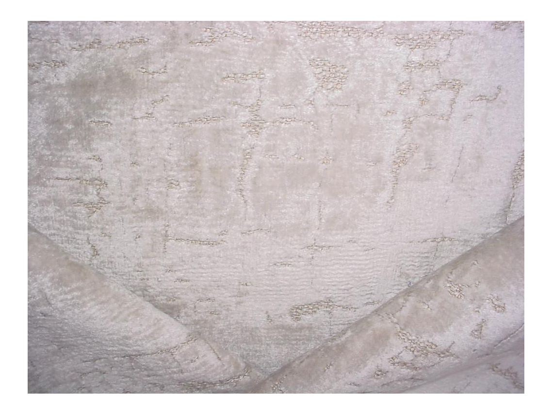 Zinc Elliec Silvery Beige Ecru Textured Velvet Upholstery Fabric - 3 3/ ...