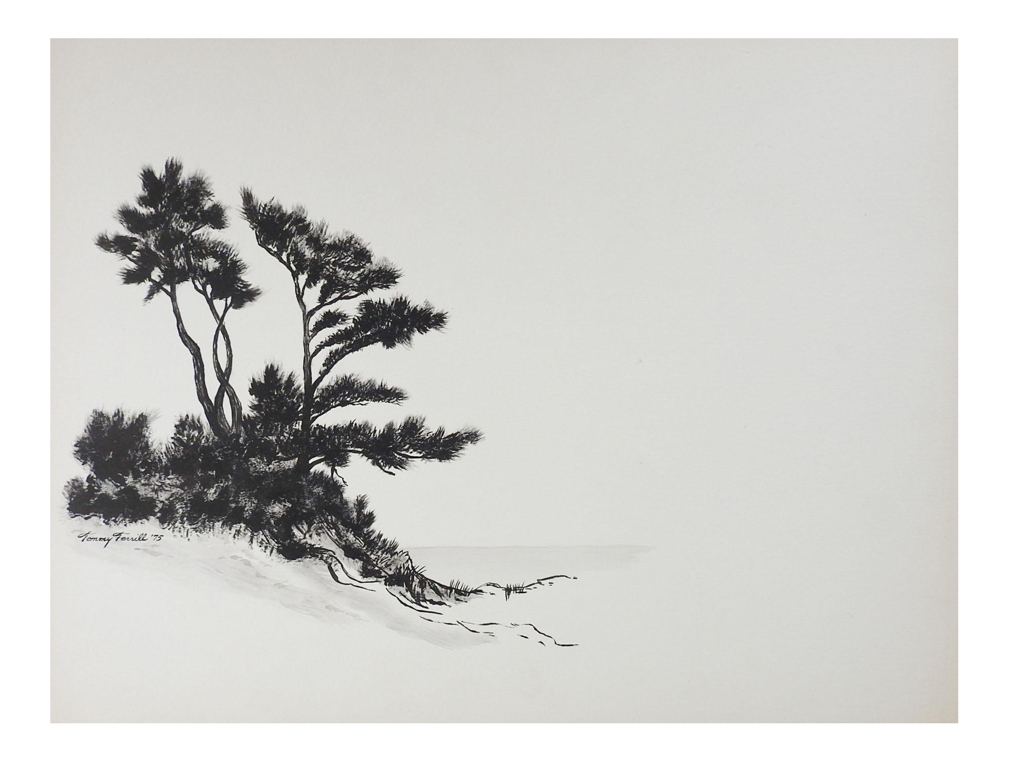 Old Pen And Ink Trees