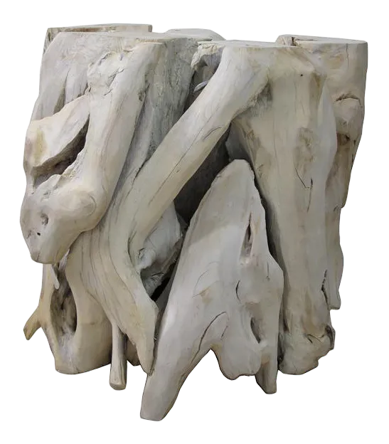 Contemporary Organic Modern Teak Root Sculpture | Chairish