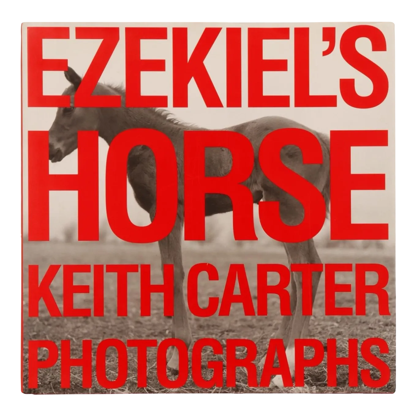 Ezekiel's Horse Keith Carter Photographs | Chairish