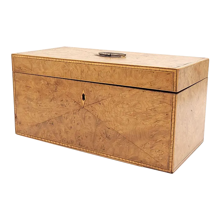 Georgian Pollard Elm Tea Caddy With Boxwood Inlay, Circa 1800 | Chairish
