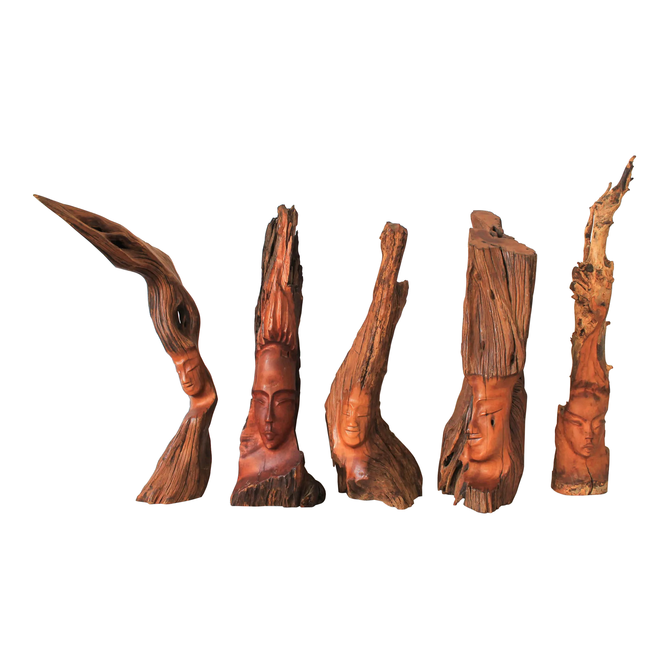 Vintage Hand Carved Tree Root Wood Abstract Art Sculptures S/5 | Chairish