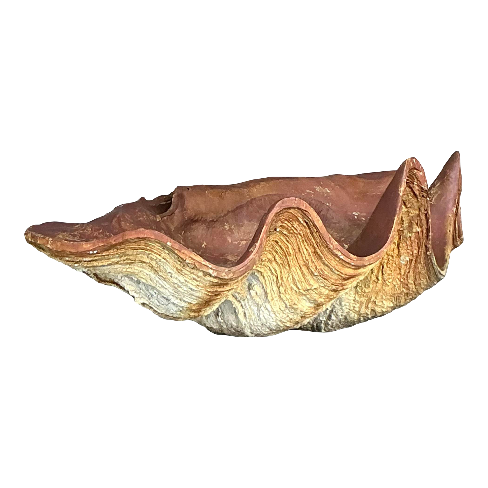 Vintage Coastal Monumental Gigas Resin Clam Shell 8 | Chairish