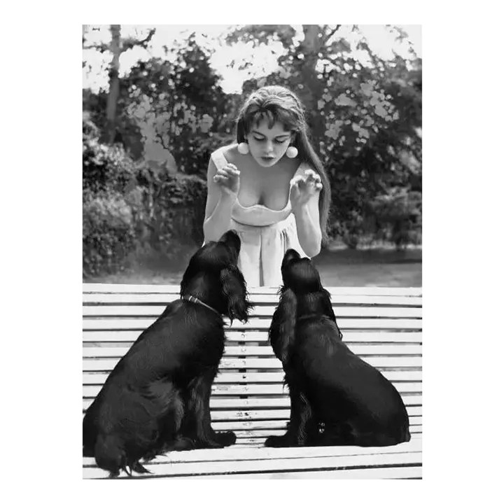 Brigitte Bardot and Her Dogs 16" X 20" | Chairish