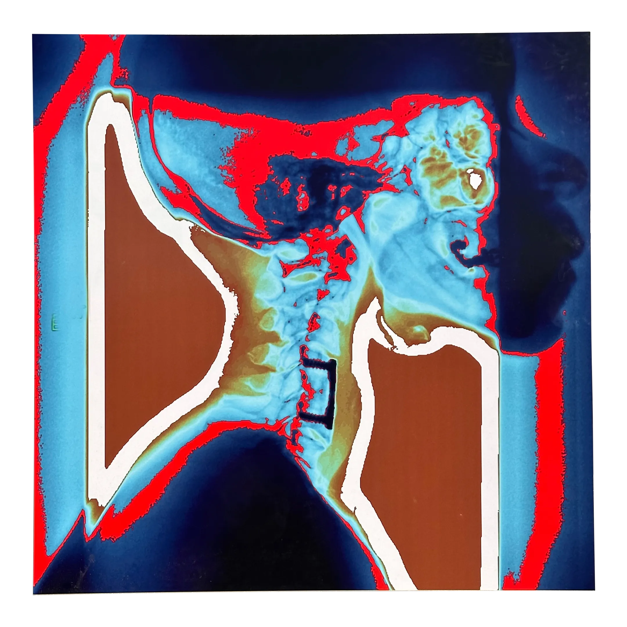 Modern Techno Skeleton Art of a Skull on Aluminum | Chairish