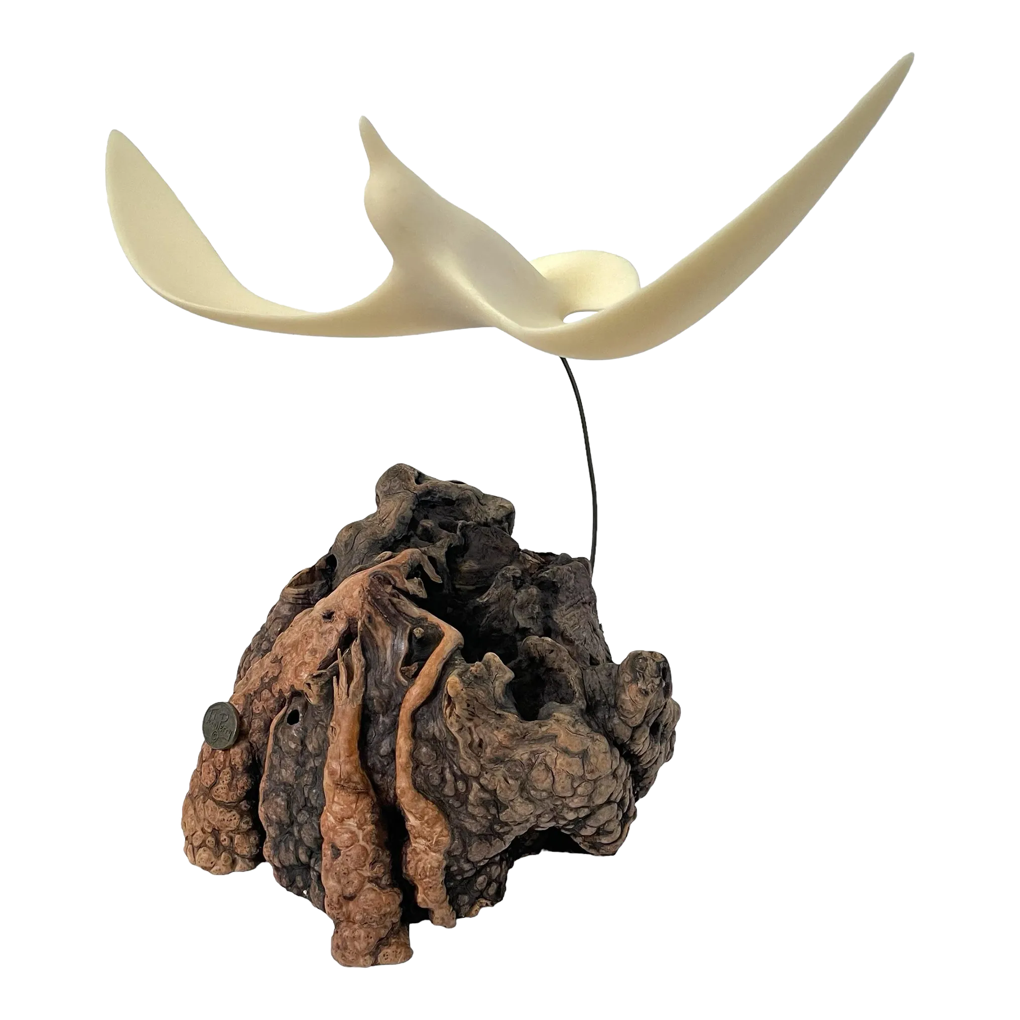 Large John Perry Burl Wood Mounted Flying White Seagull Kinetic Art ...