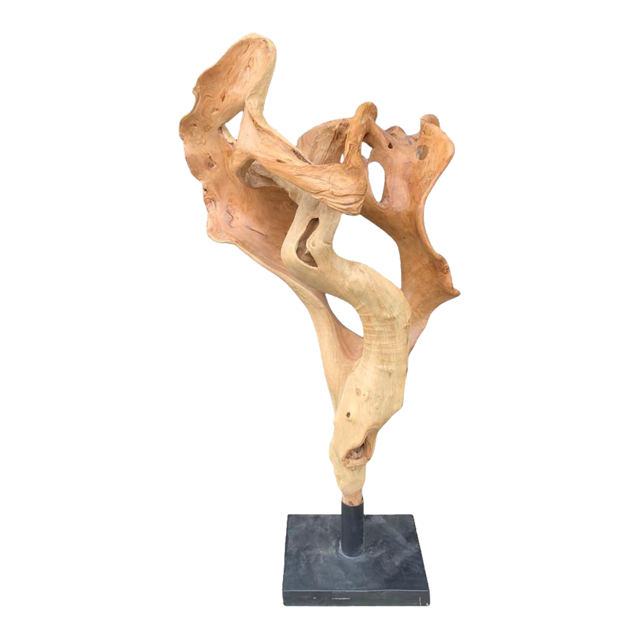 Teak Root Sculpture On Metal Base | Chairish