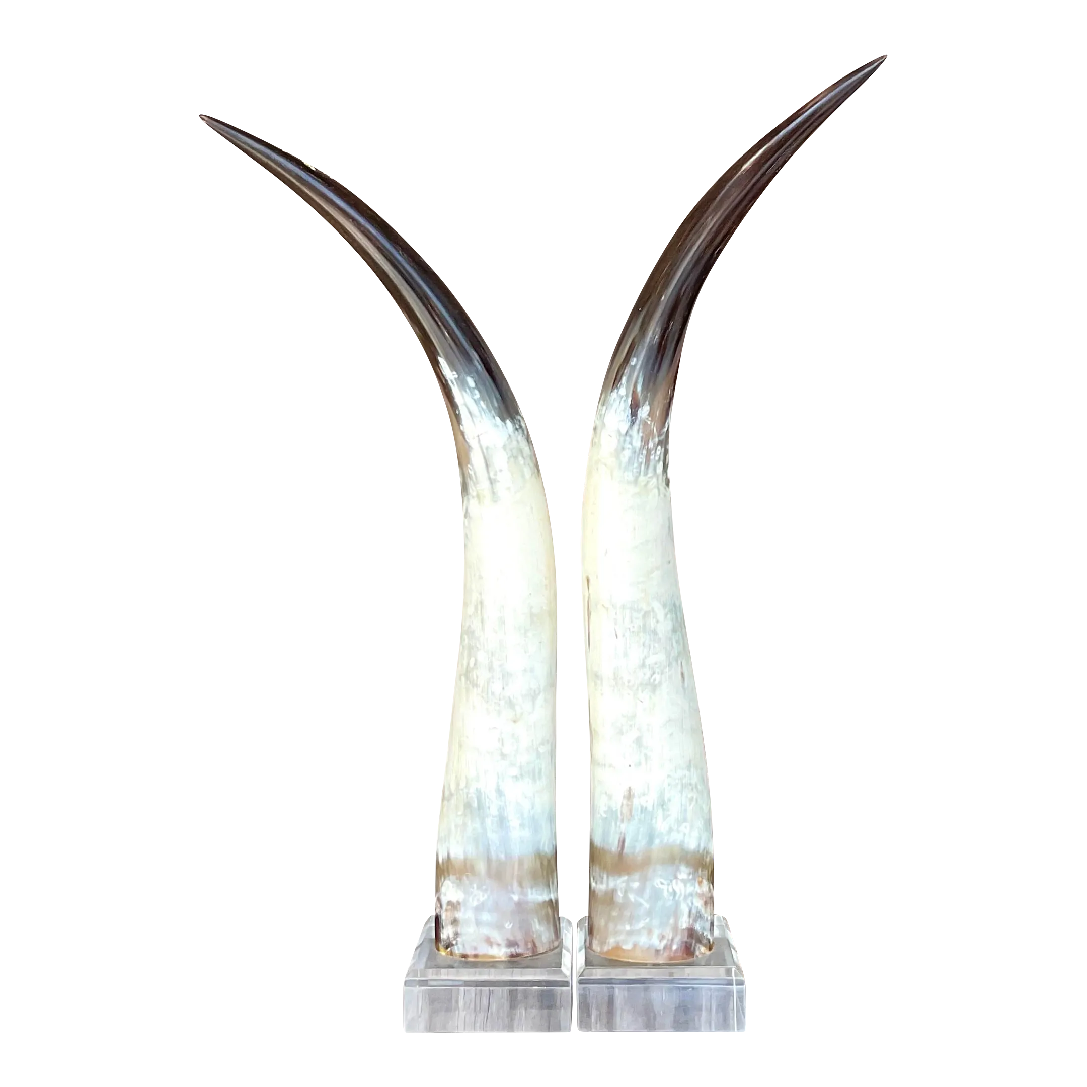 Vintage Boho Custom Horns on Lucite - a Pair | Chairish