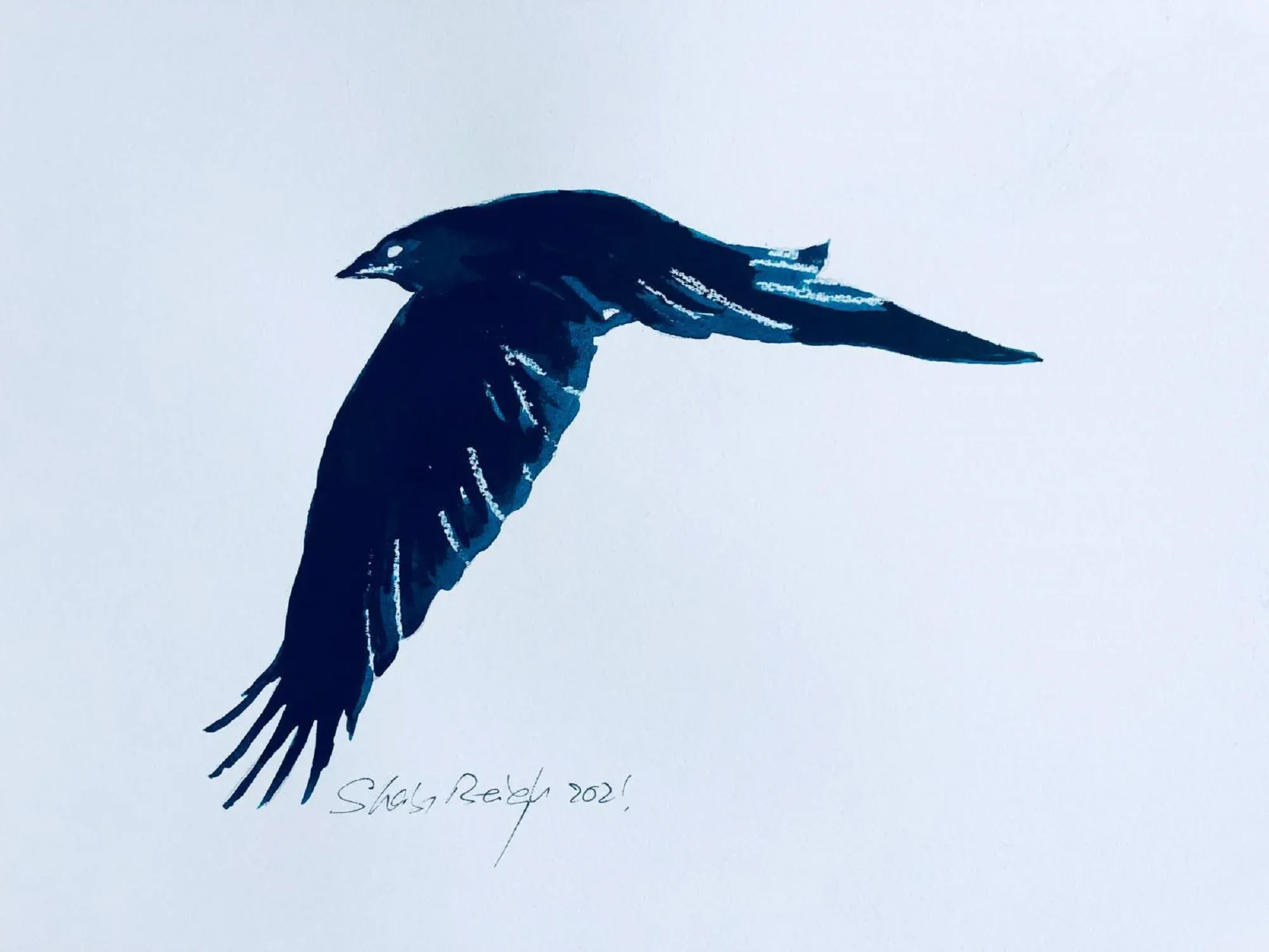 "Flight 12" Contemporary Minimalist Bird Ink Drawing | Chairish