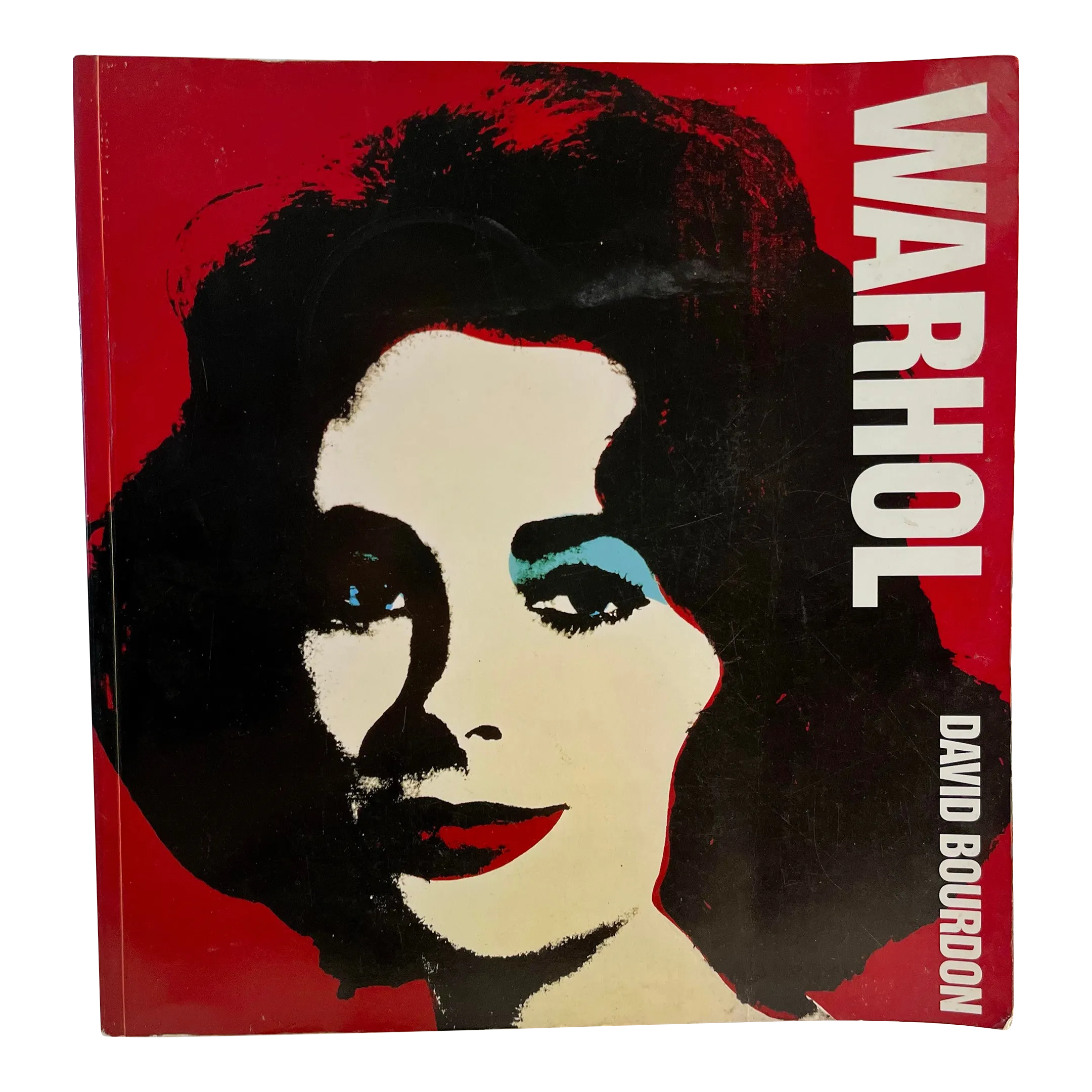 1989 David Bourdon Warhol Book | Chairish