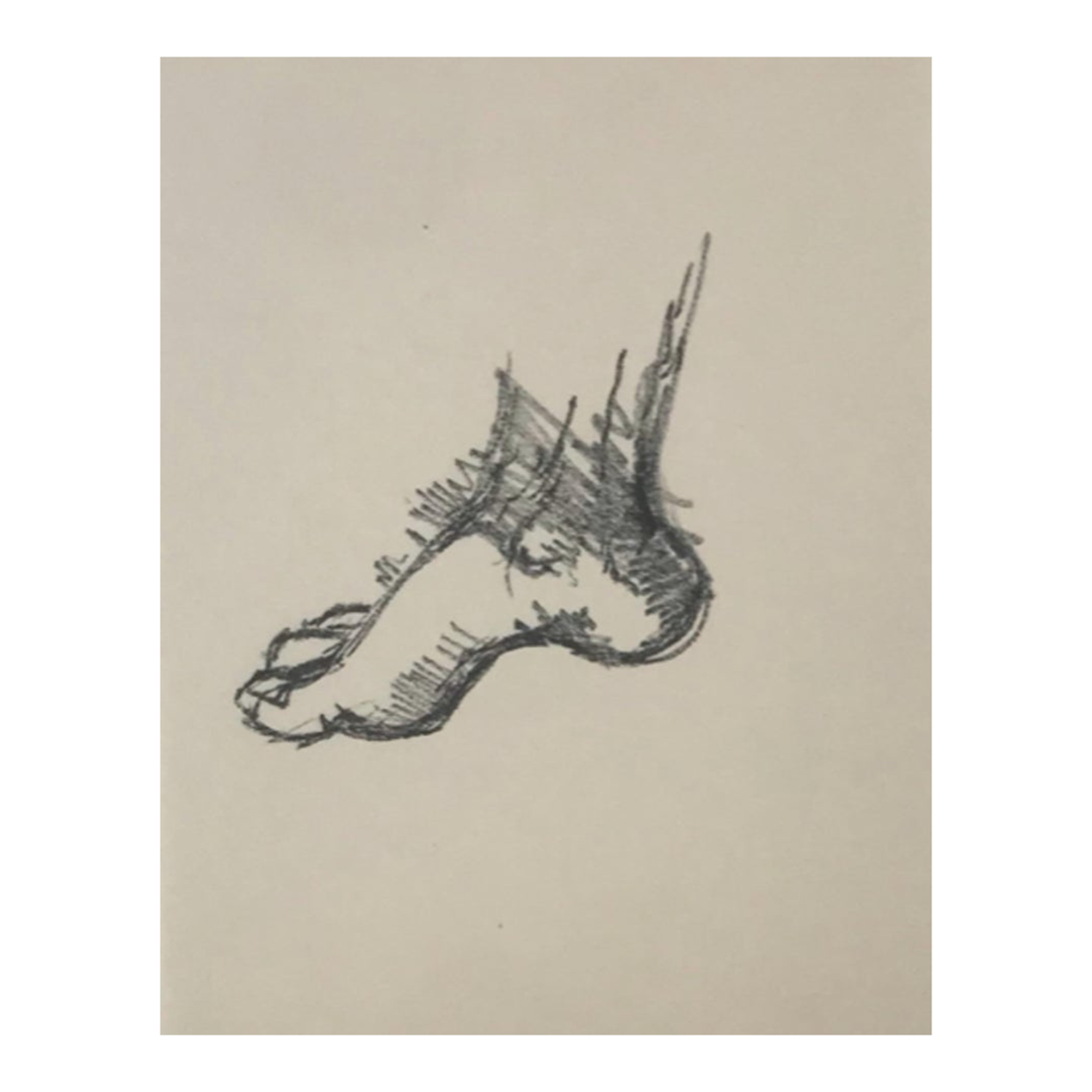 1960s Anatomical Study of Foot Drawing | Chairish