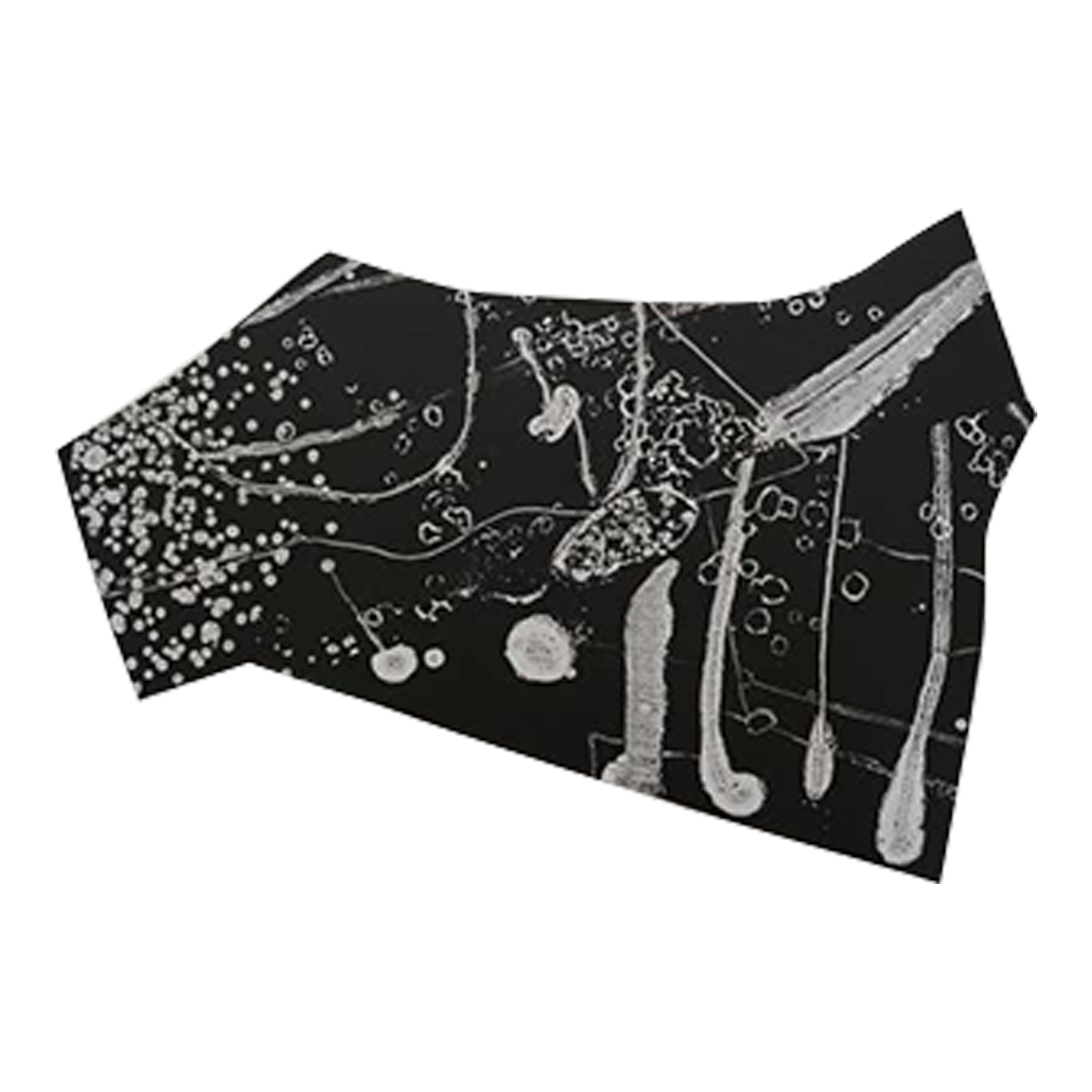 "Jupiter Tujo" Black & White Abstract Lithograph Signed L. Siekman ...