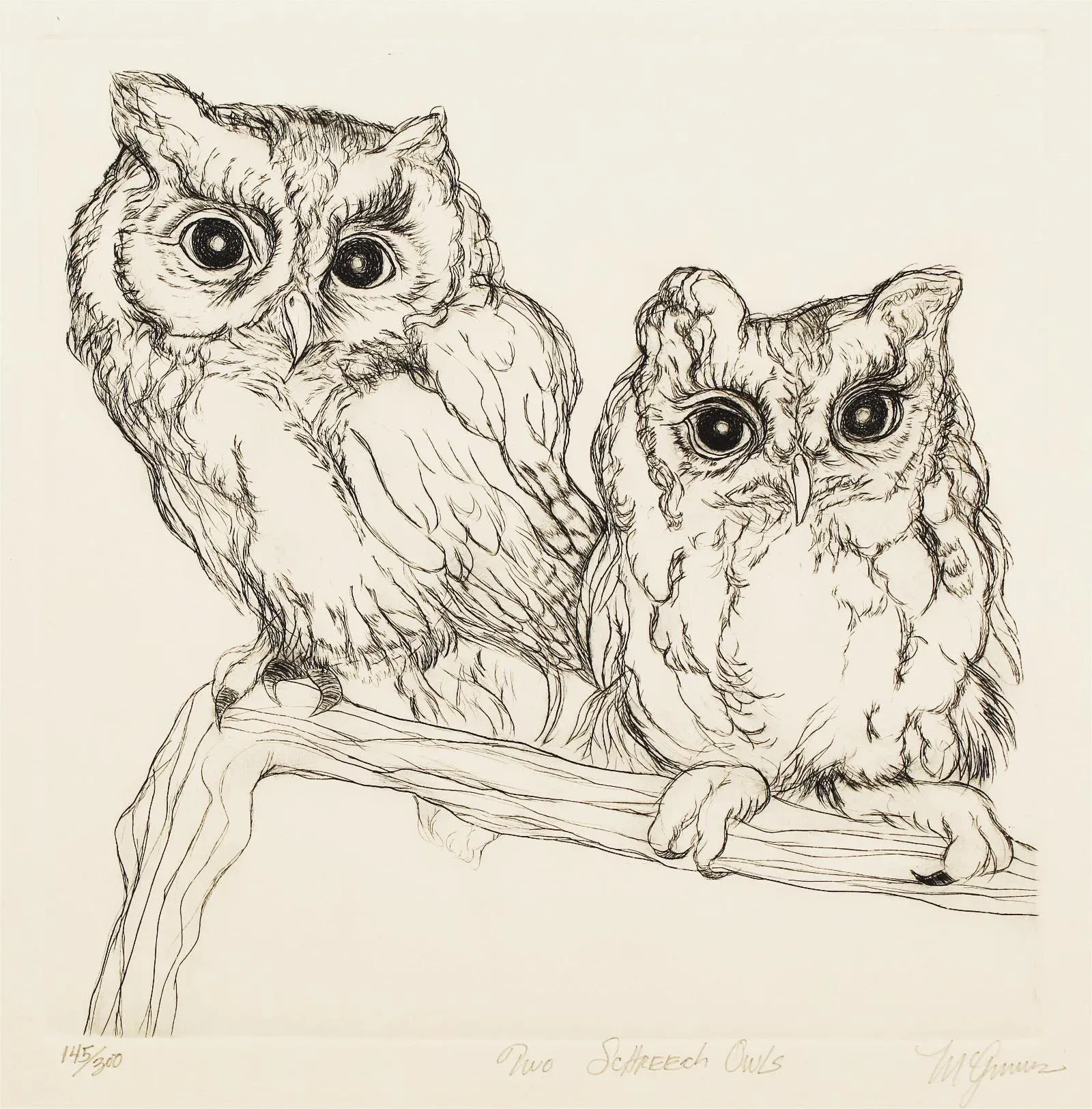 "Two Screech Owls" Etching by Christine McGinnis, Printed by David ...
