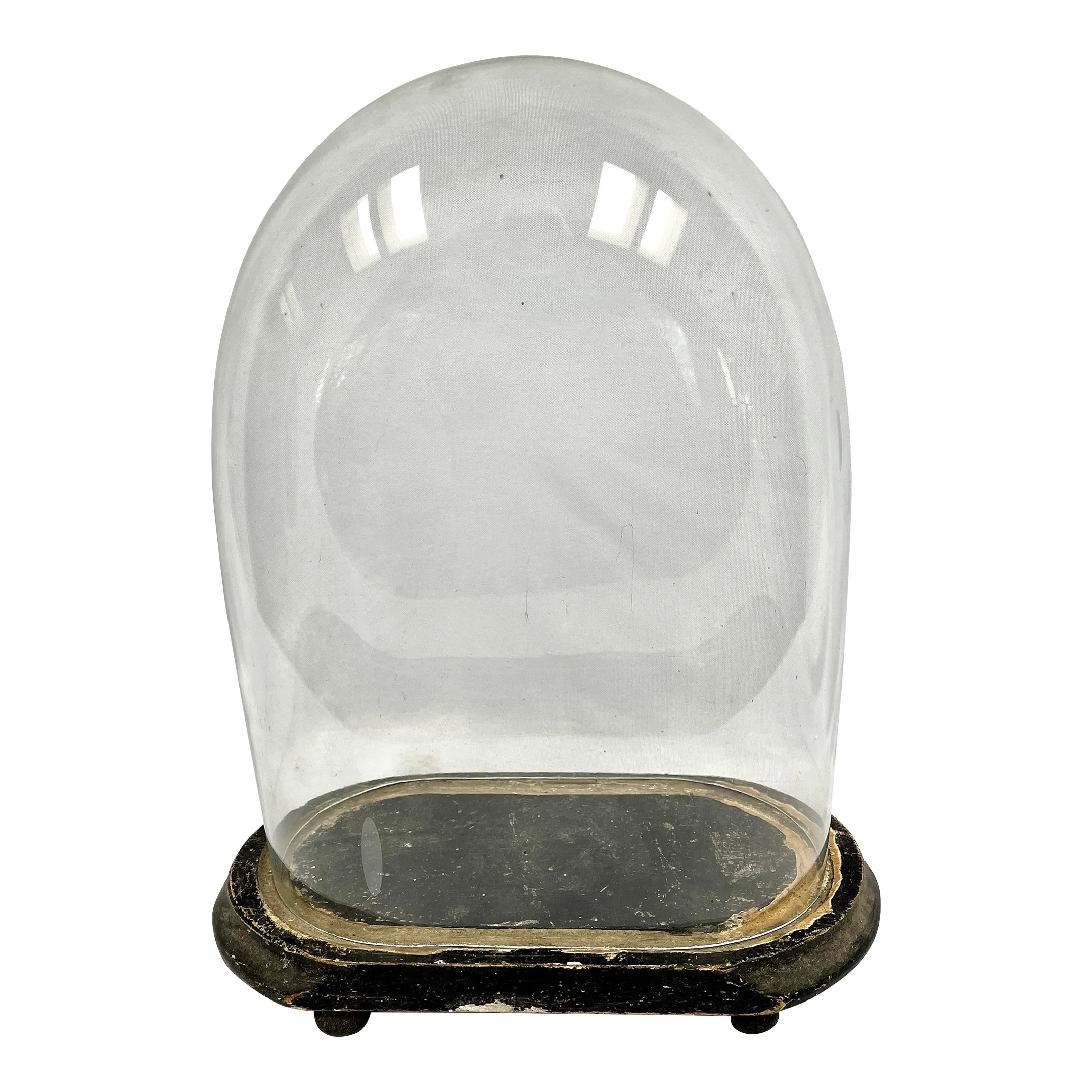 Late 1800s French Cloche on Oval Wood Footed Stand | Chairish