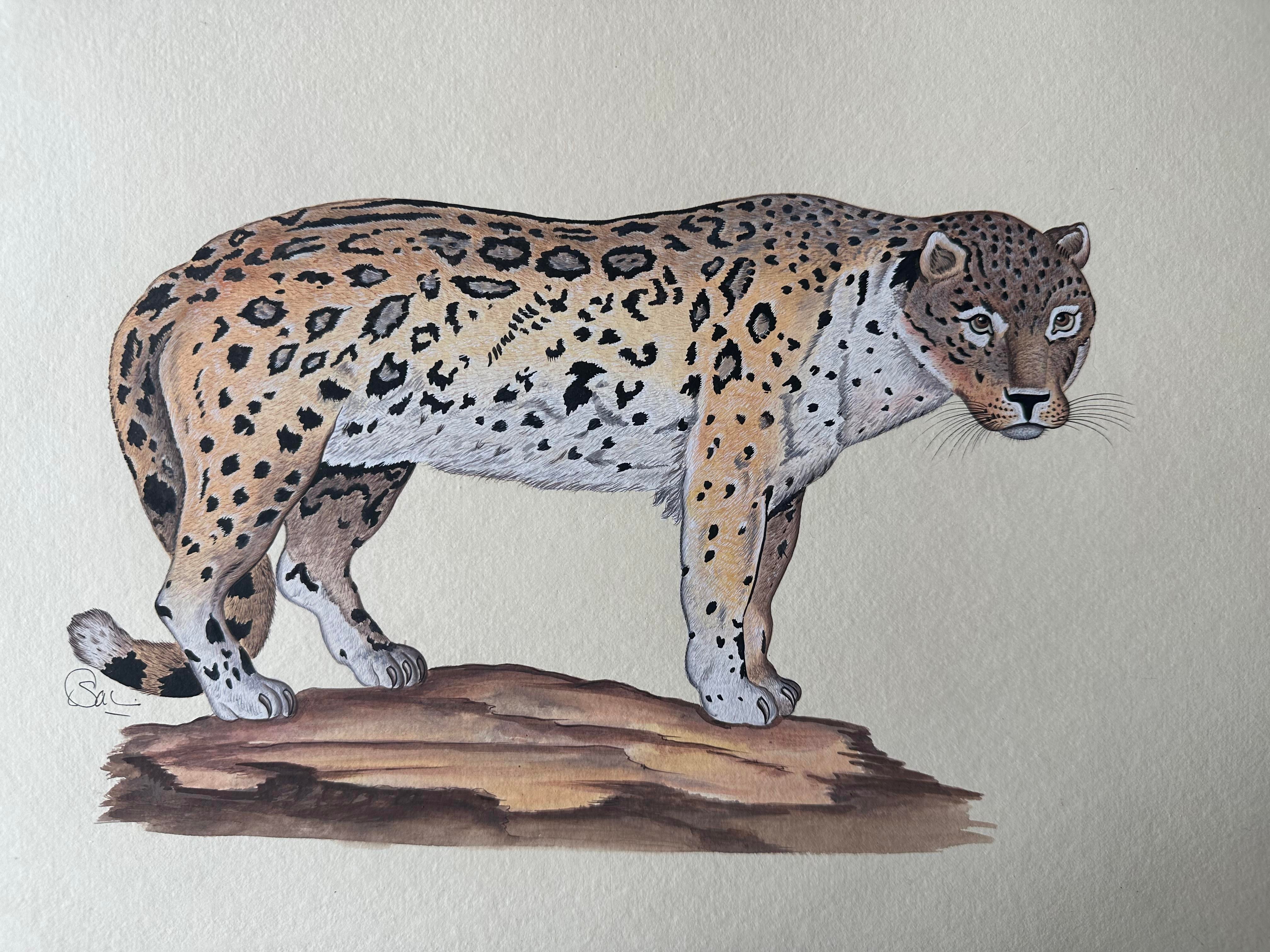 Original Hand-Painted Cheetah on Heavy Handmade Paper | Chairish