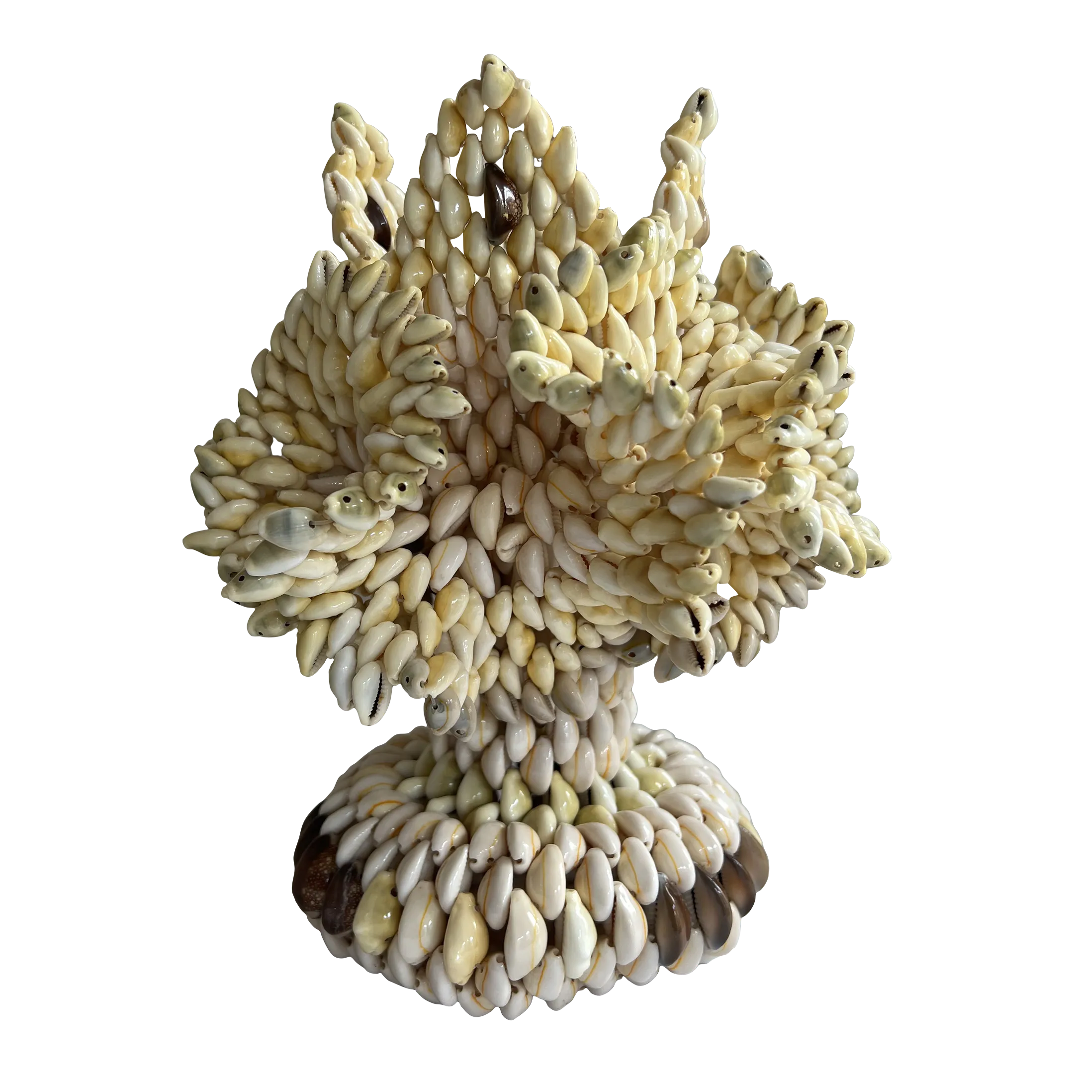 Late 19th Century Vintage South Pacific Cowrie Shell Vase | Chairish