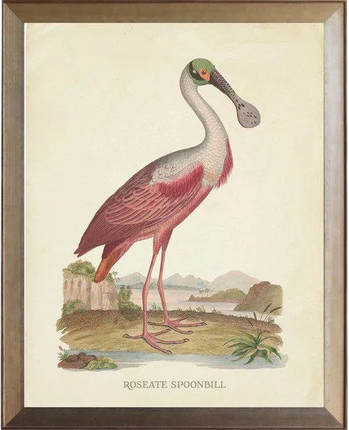 Roseate Spoonbill in Distressed Metallic Frame 19x23 | Chairish
