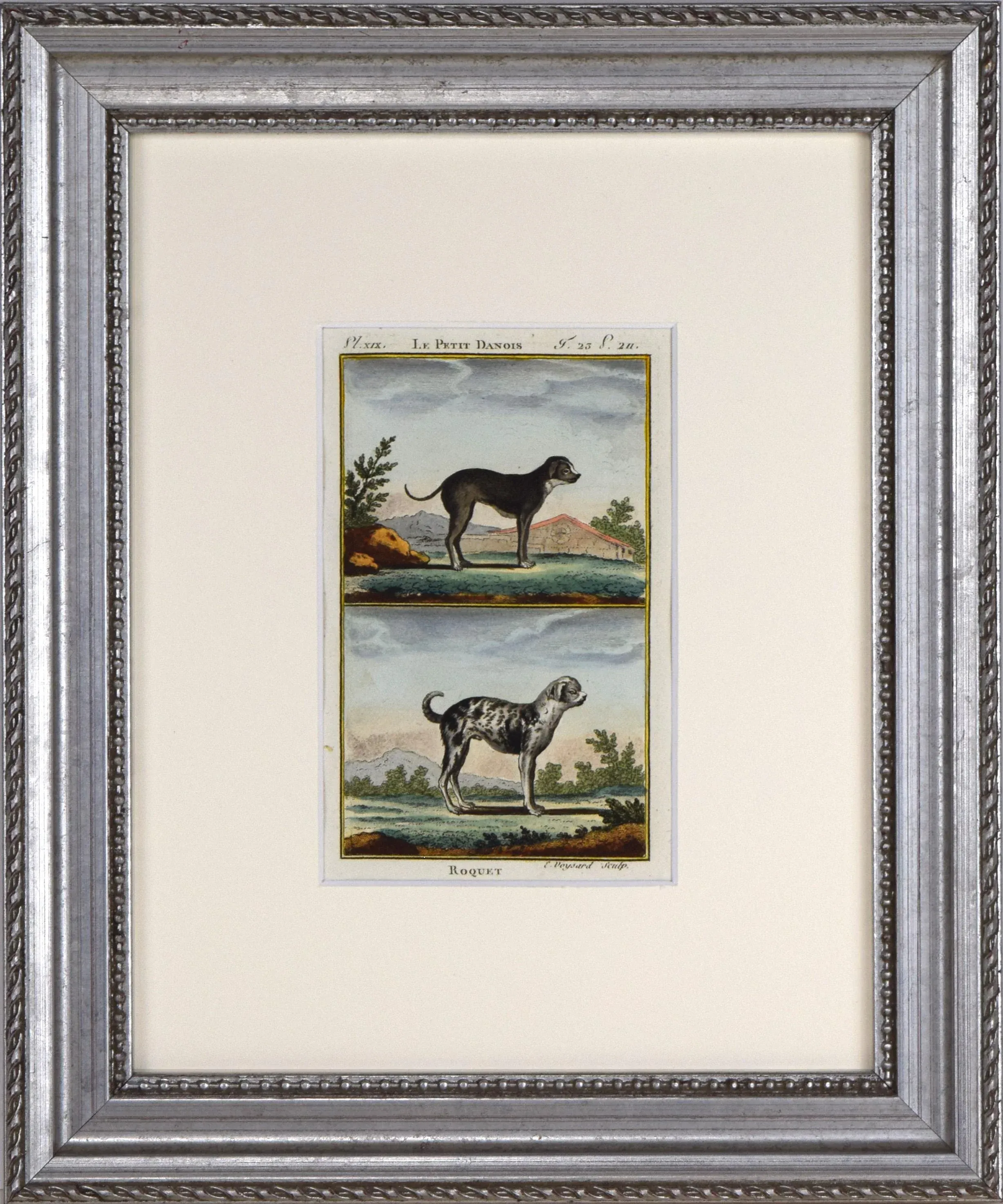 19th Century Antique Hand Colored French/Belgian Dog Lithograph by ...