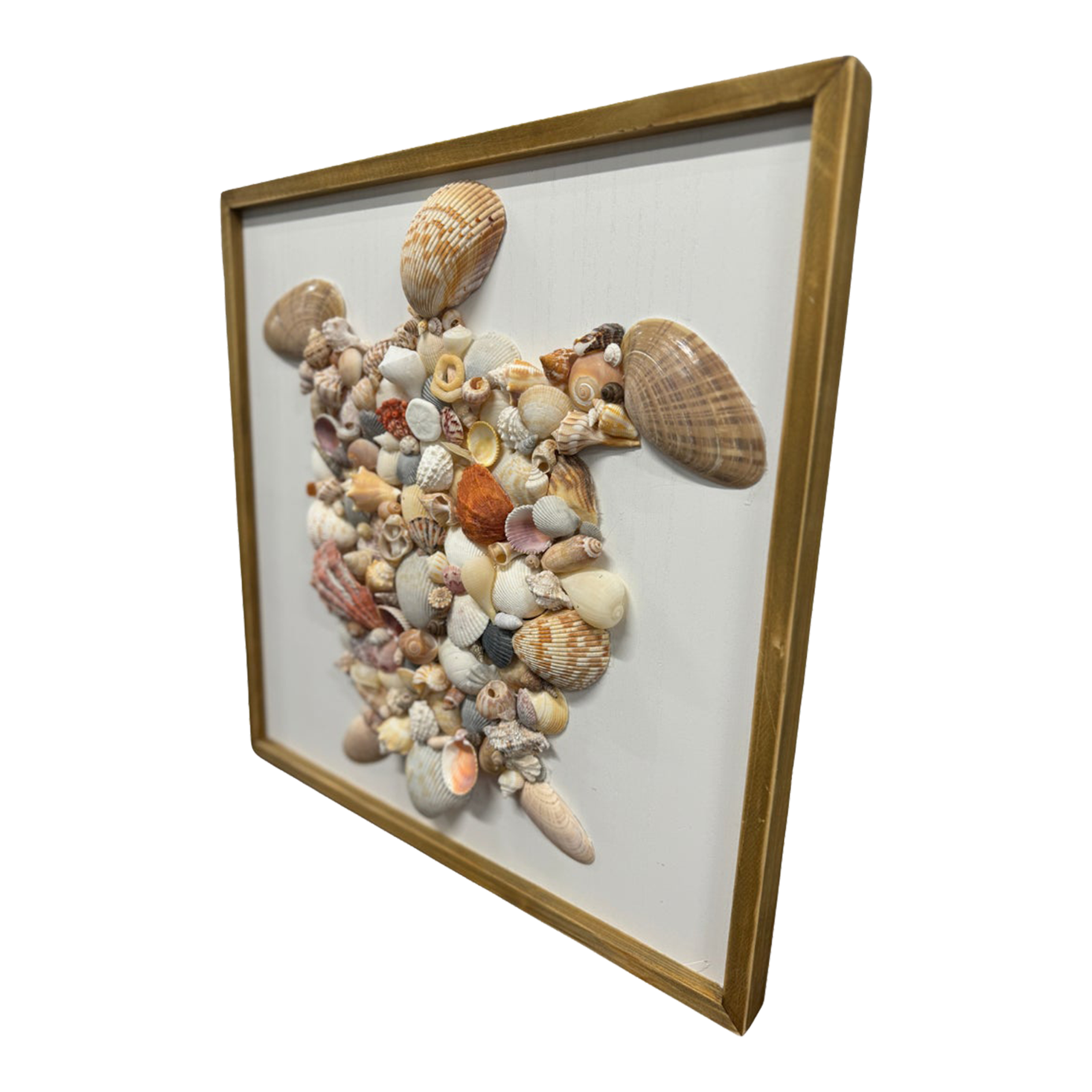 Custom Seashell Turtle Wall Art | Chairish