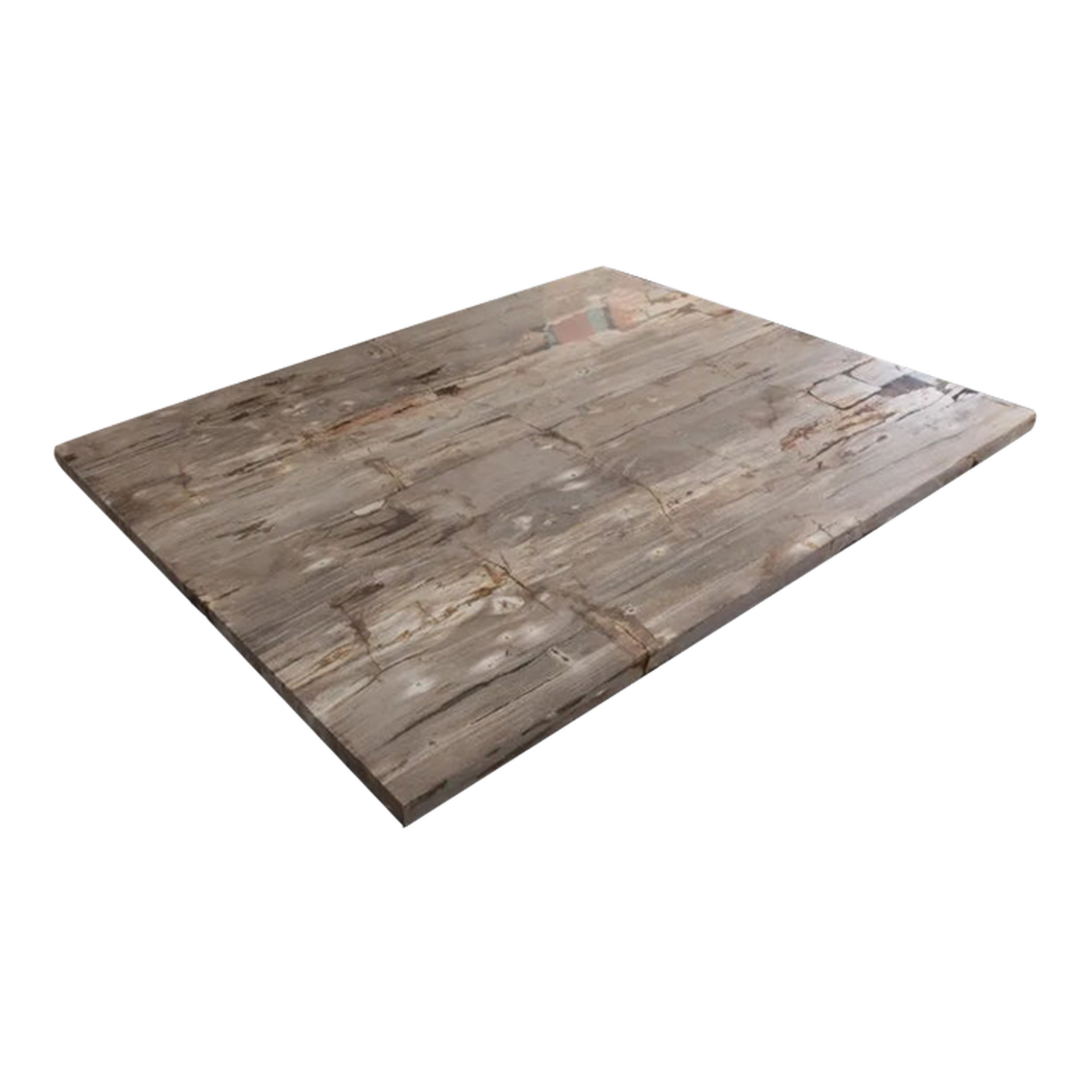 Fossil Wood Carved Wood Countertop Slab | Chairish