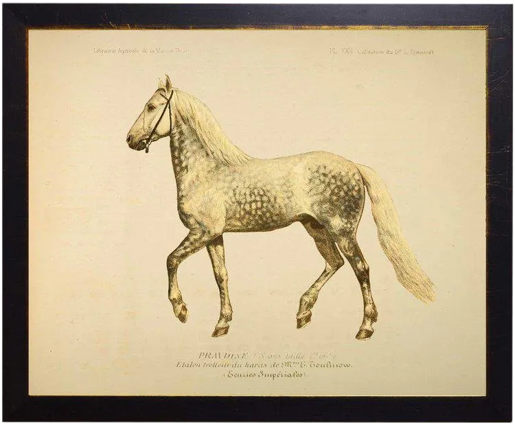 Wilbur the Horse Bookplate 26x20 | Chairish