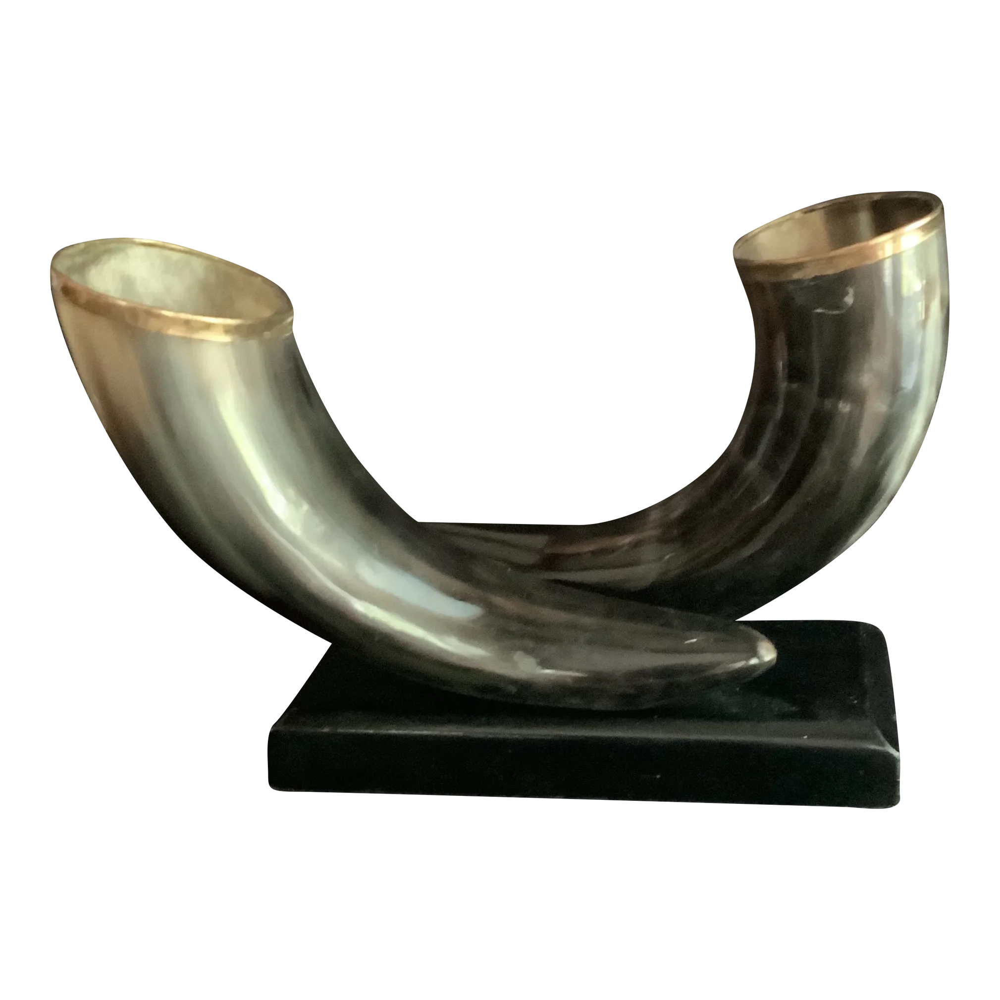 Mid-Century Animal Horns With Mounted Base and Brass Accents | Chairish