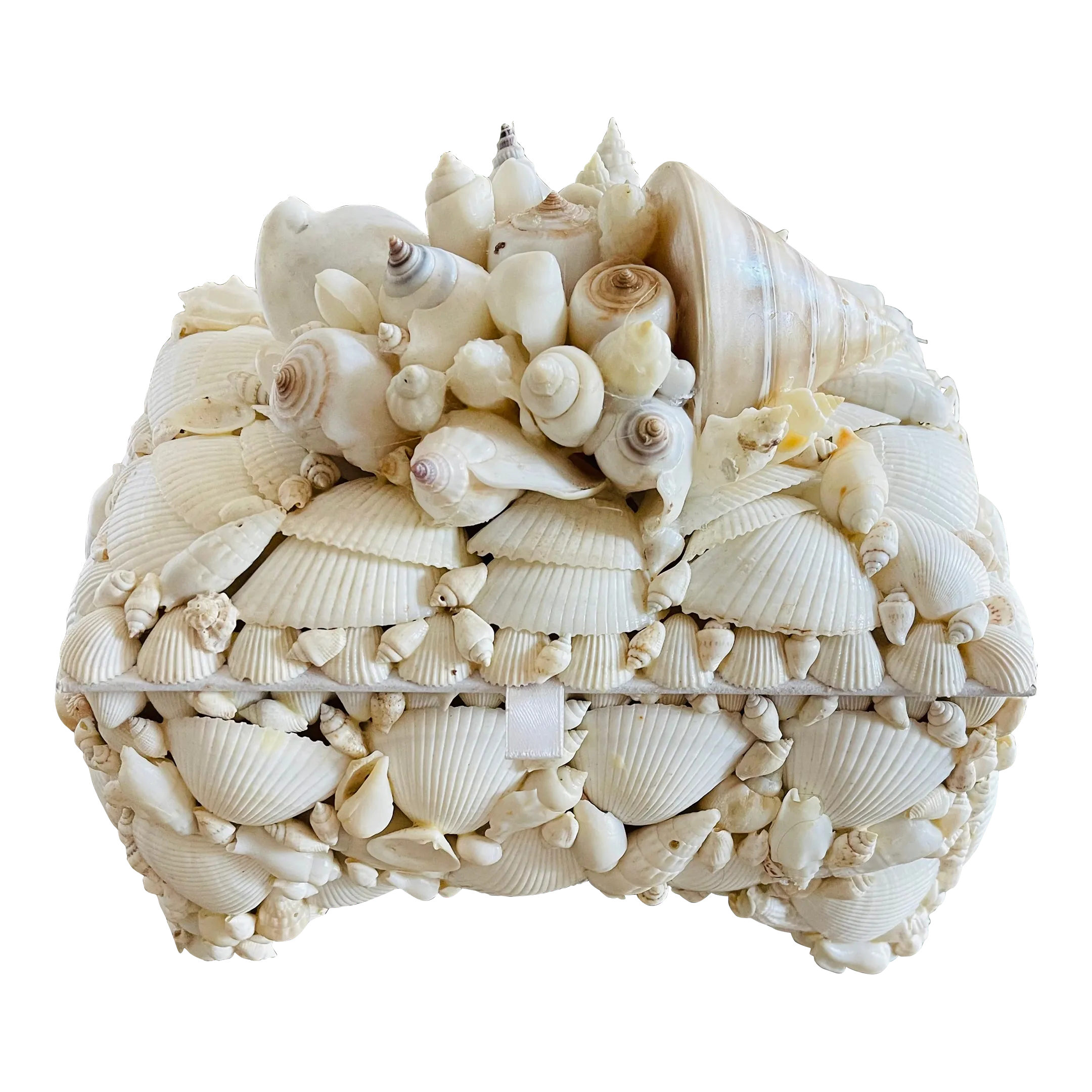 Organic Modern Seashell Encrusted Treasure Chest | Chairish