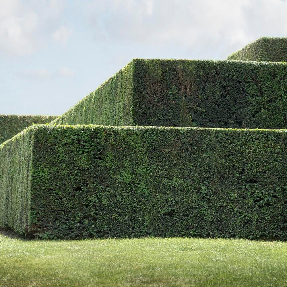 "Step Pyramid" Contemporary Landscape Photograph on Paper by Carol Erb ...