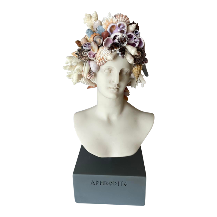 Christa's South Seashells Small Aphrodite Head | Chairish