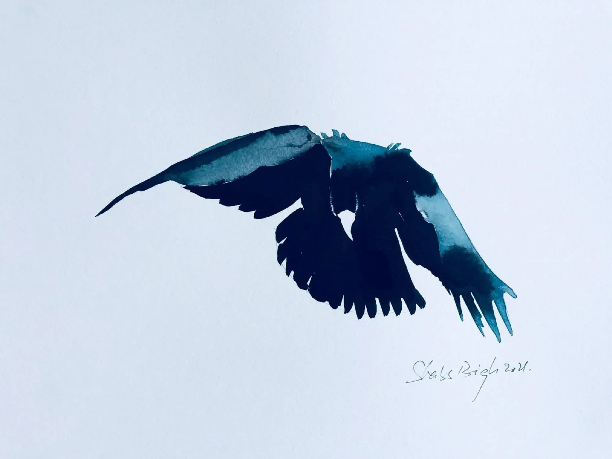 "Flight 11" Contemporary Minimalist Bird Ink Drawing | Chairish