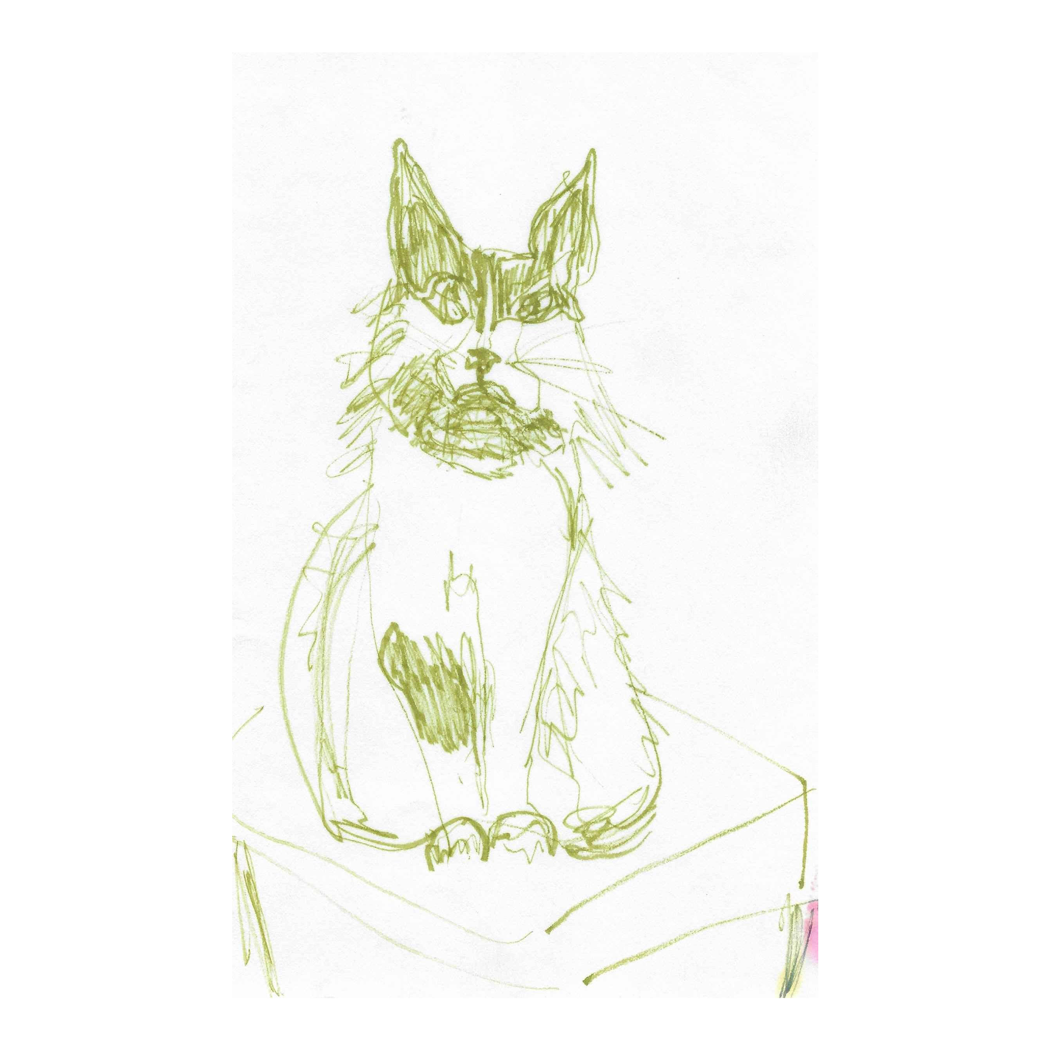 Modern Drawing Of Cat By Jim Guest Chairish