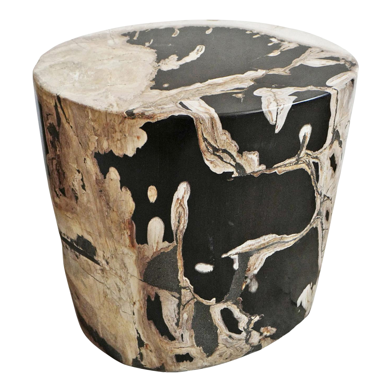Petrified Wood Stump Side Table | Chairish