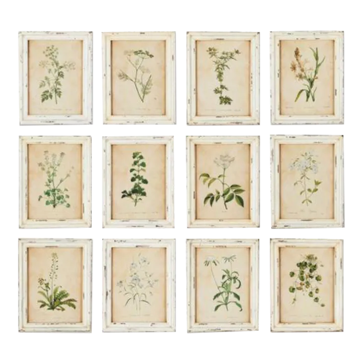 Framed Wild Flower Botanicals - Set of 12 | Chairish