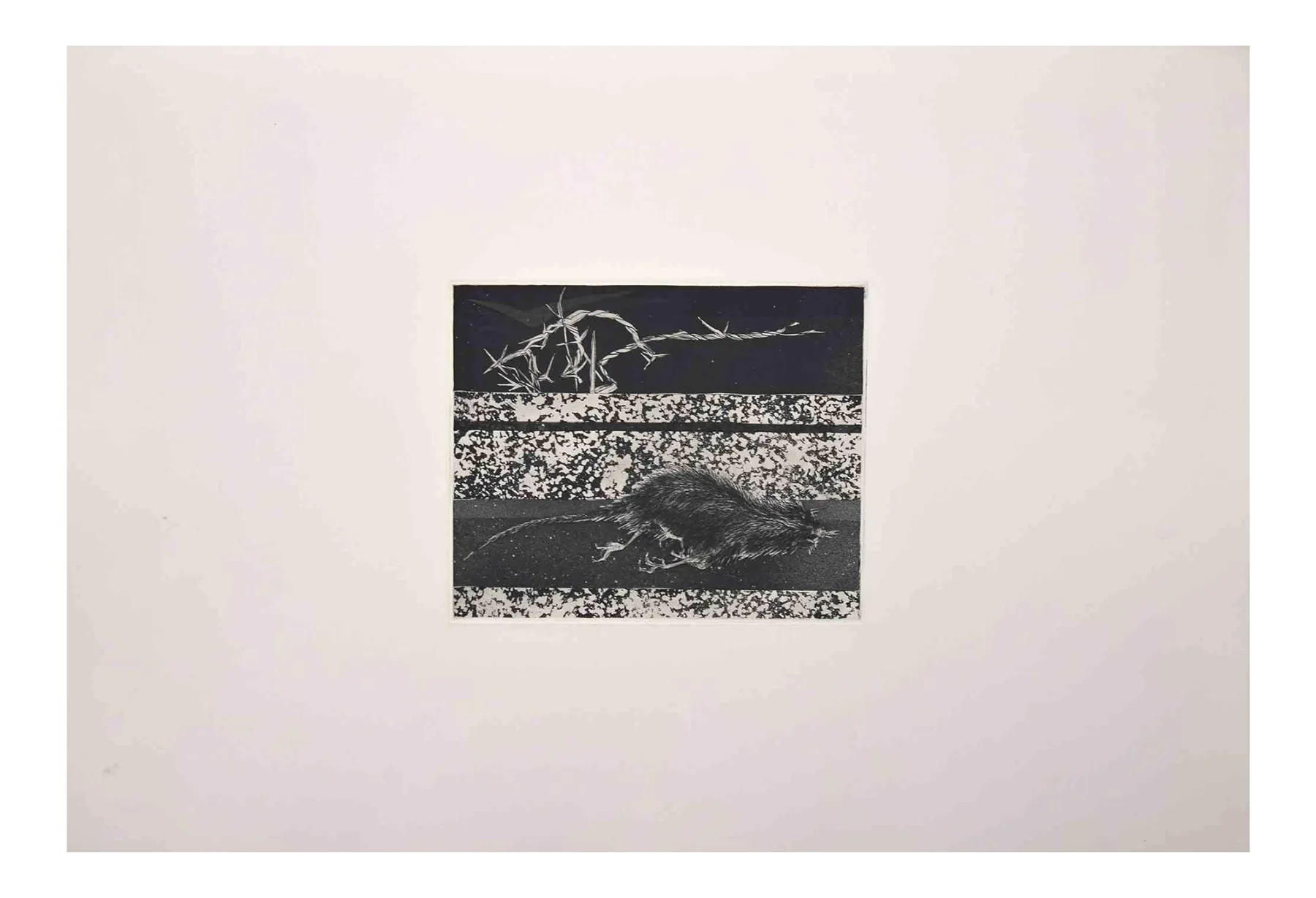 Leo Guida, Rat on the Border, Original Etching, 1971 | Chairish