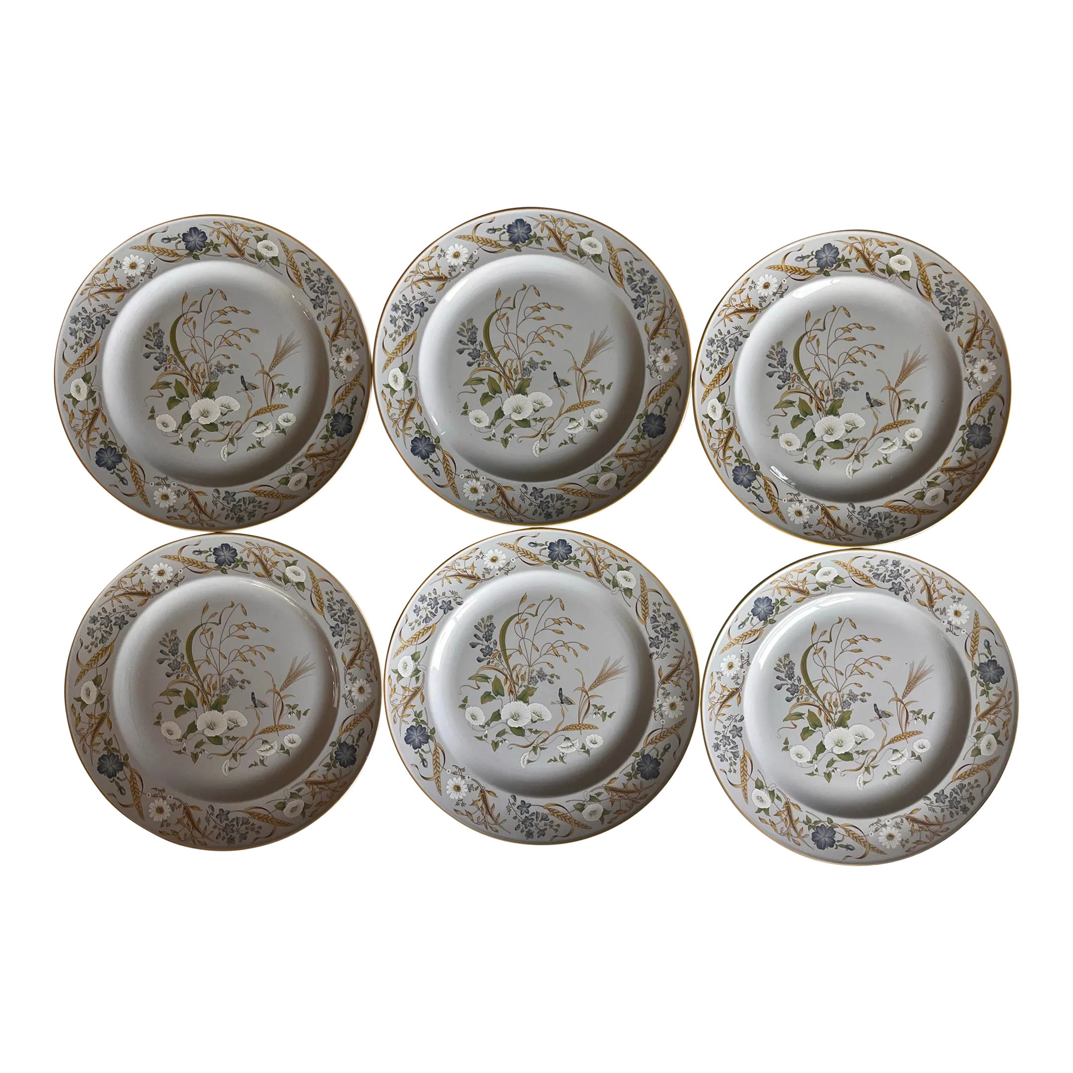 Spode Summer Harvest Dinner Plates - Set of 6 | Chairish