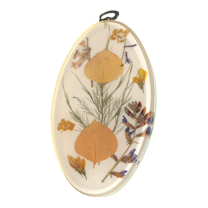 1970s Pressed Foliage Resin Art Autumn Leaves Wall Object | Chairish