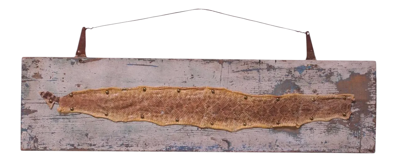 Mounted Diamond Back Rattlesnake Skin | Chairish