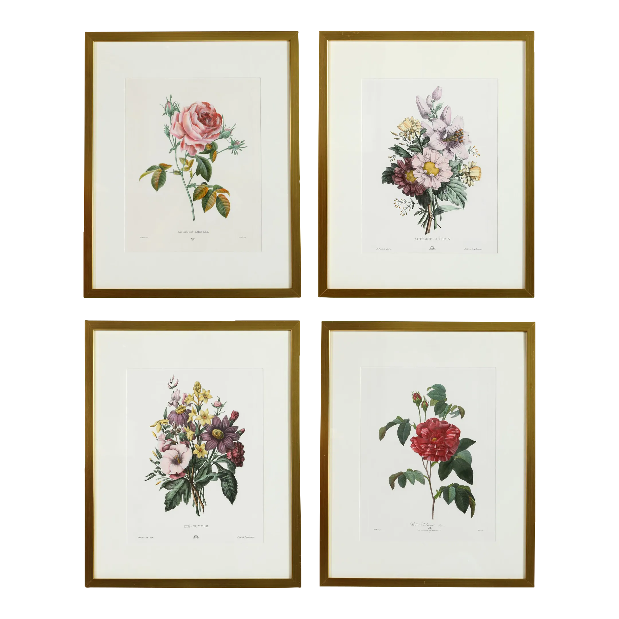 Vintage French Gold Framed Botanical Prints - Set of 4 | Chairish