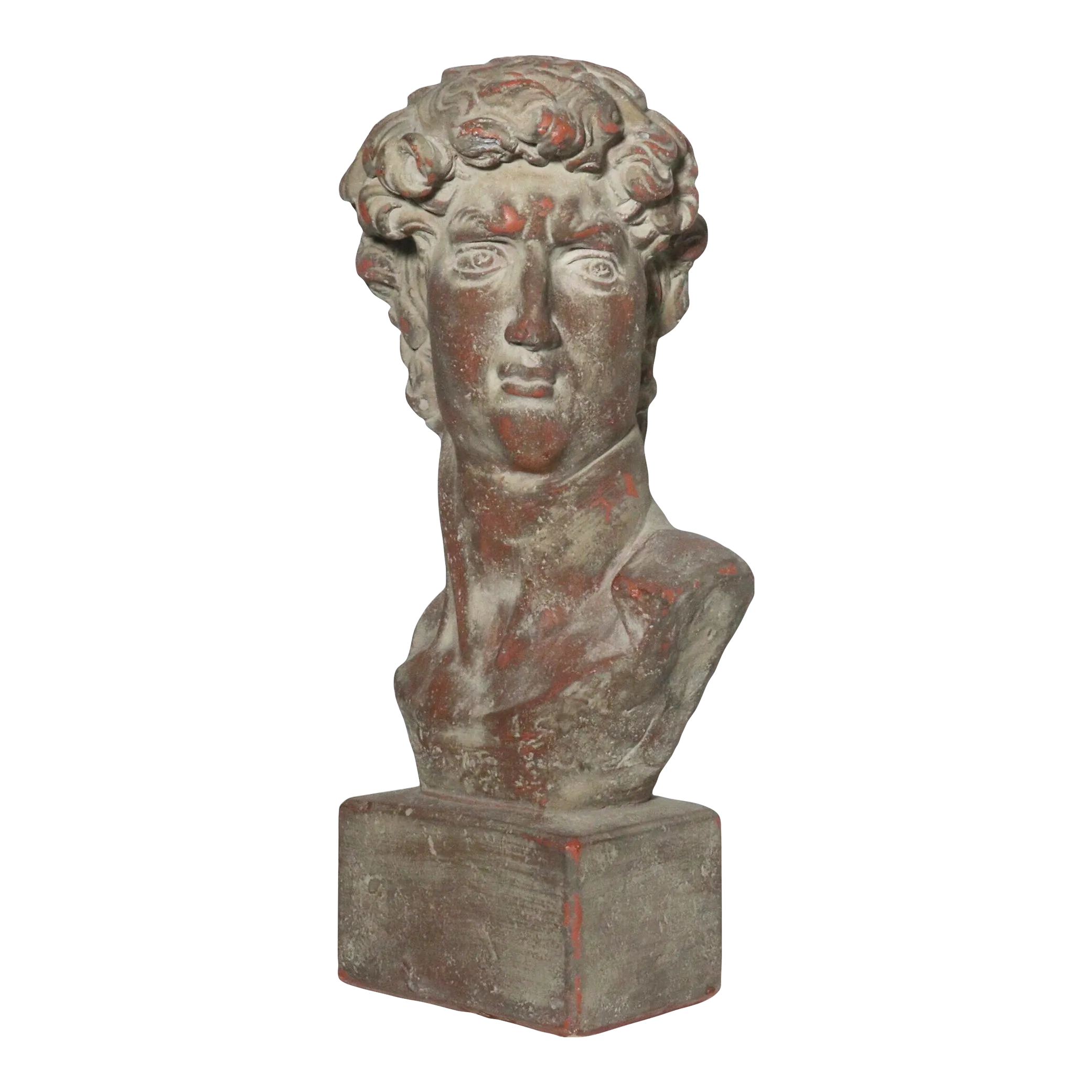 Life-Size Bust of David Plaster Sculpture | Chairish