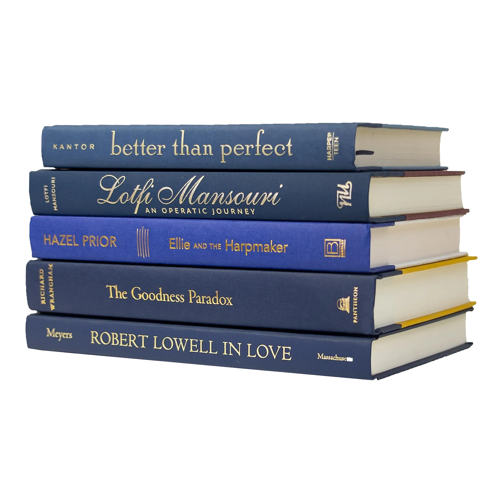 Modern Denim & Gold Book Stack, S/5 | Chairish