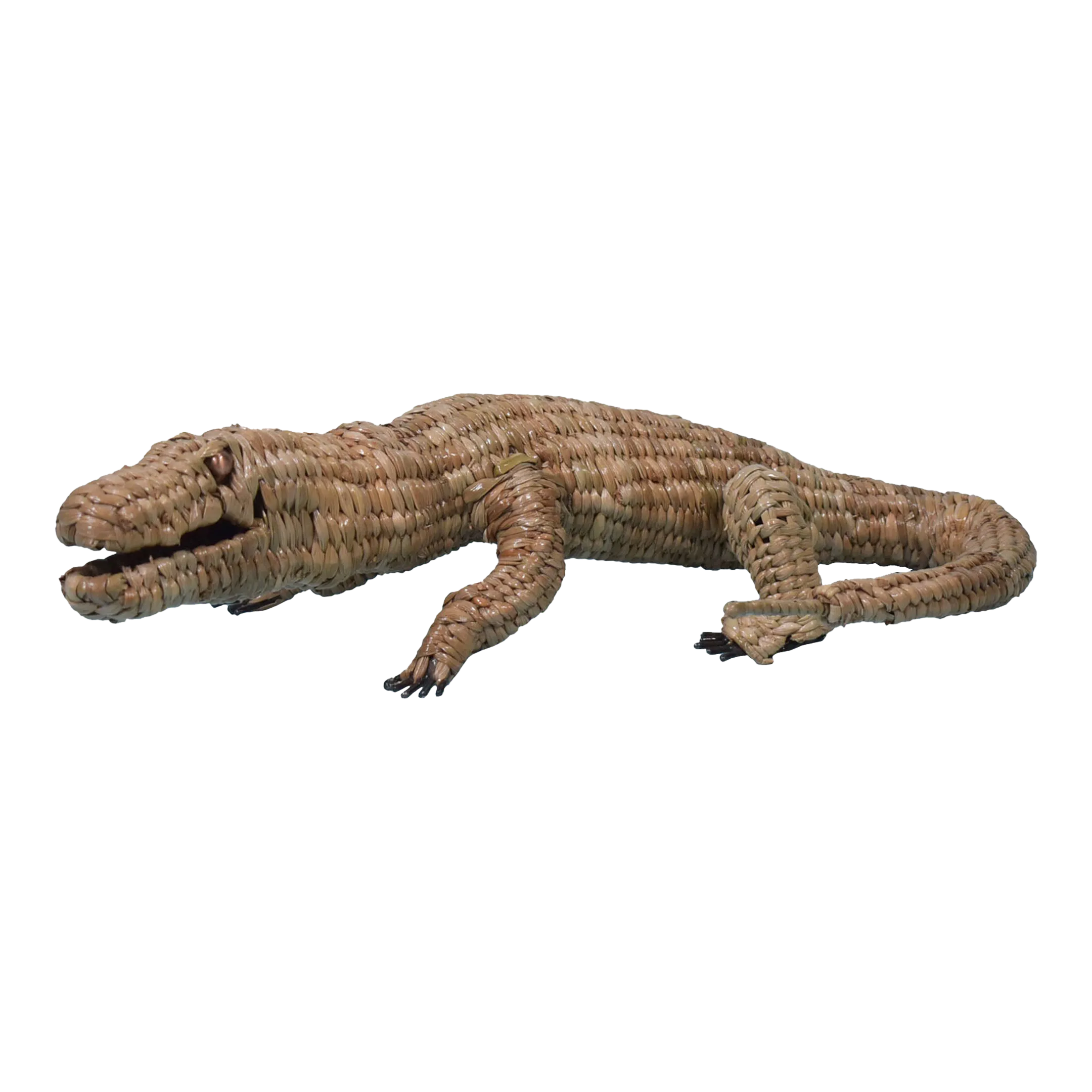 Small Alligator by Mario Lopez Torres | Chairish