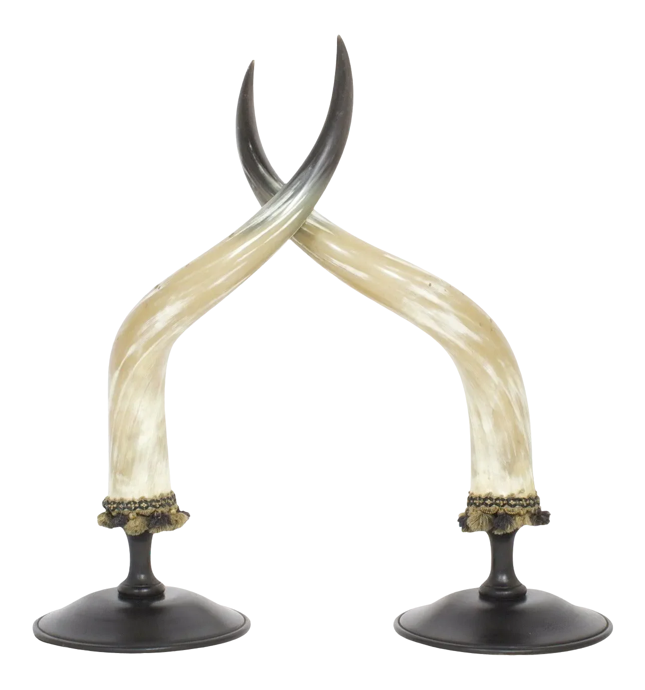 Mid-Century Large and Polished Horns on Mounts - Pair | Chairish