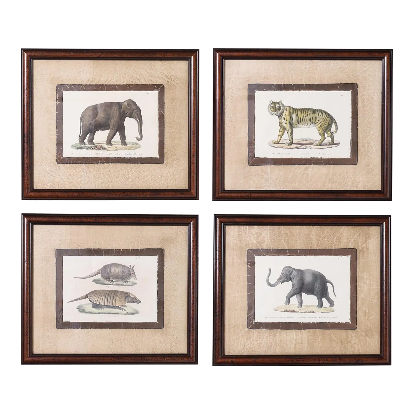 Set of Four Animal Stone Lithographs | Chairish