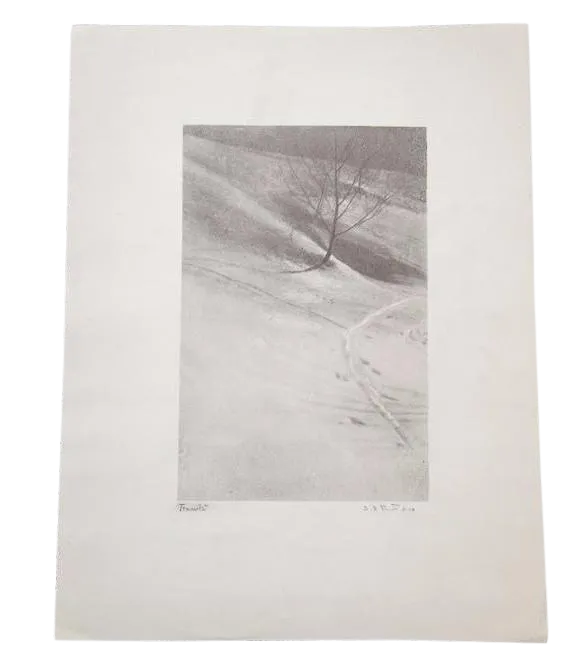 D.R. Peretti Griva Original Bromoil Transfer Tree | Chairish