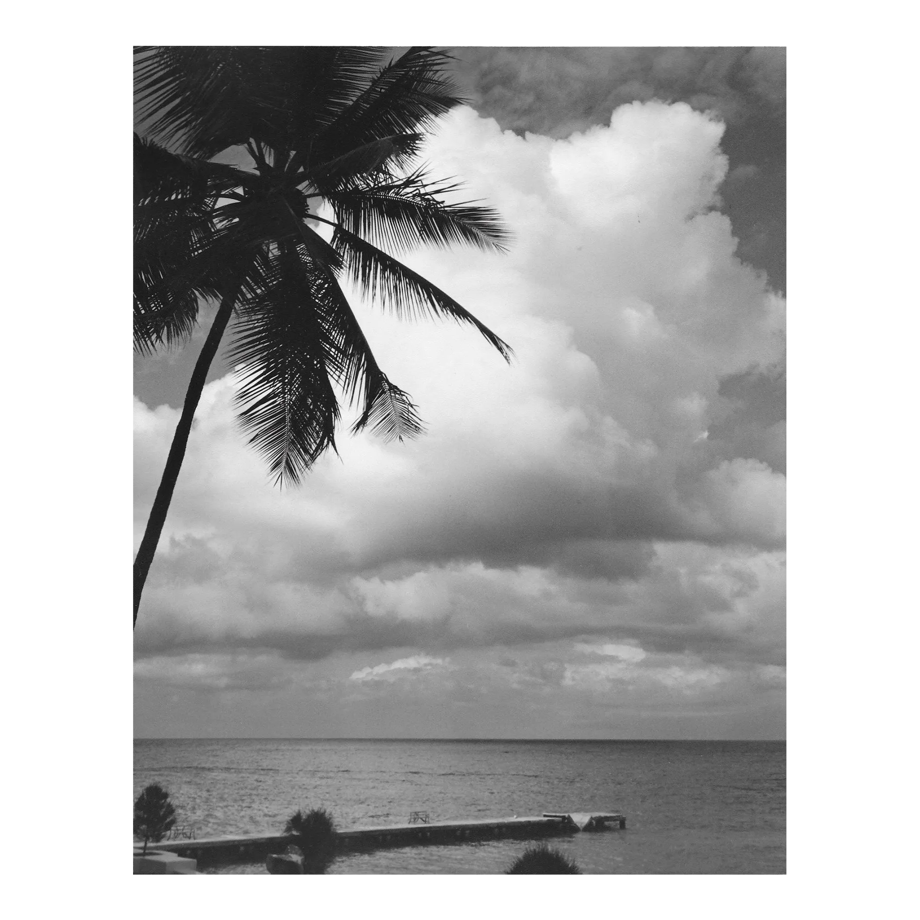 1966 Ocho Rios Jamaica Topical Photograph by Don Ware | Chairish