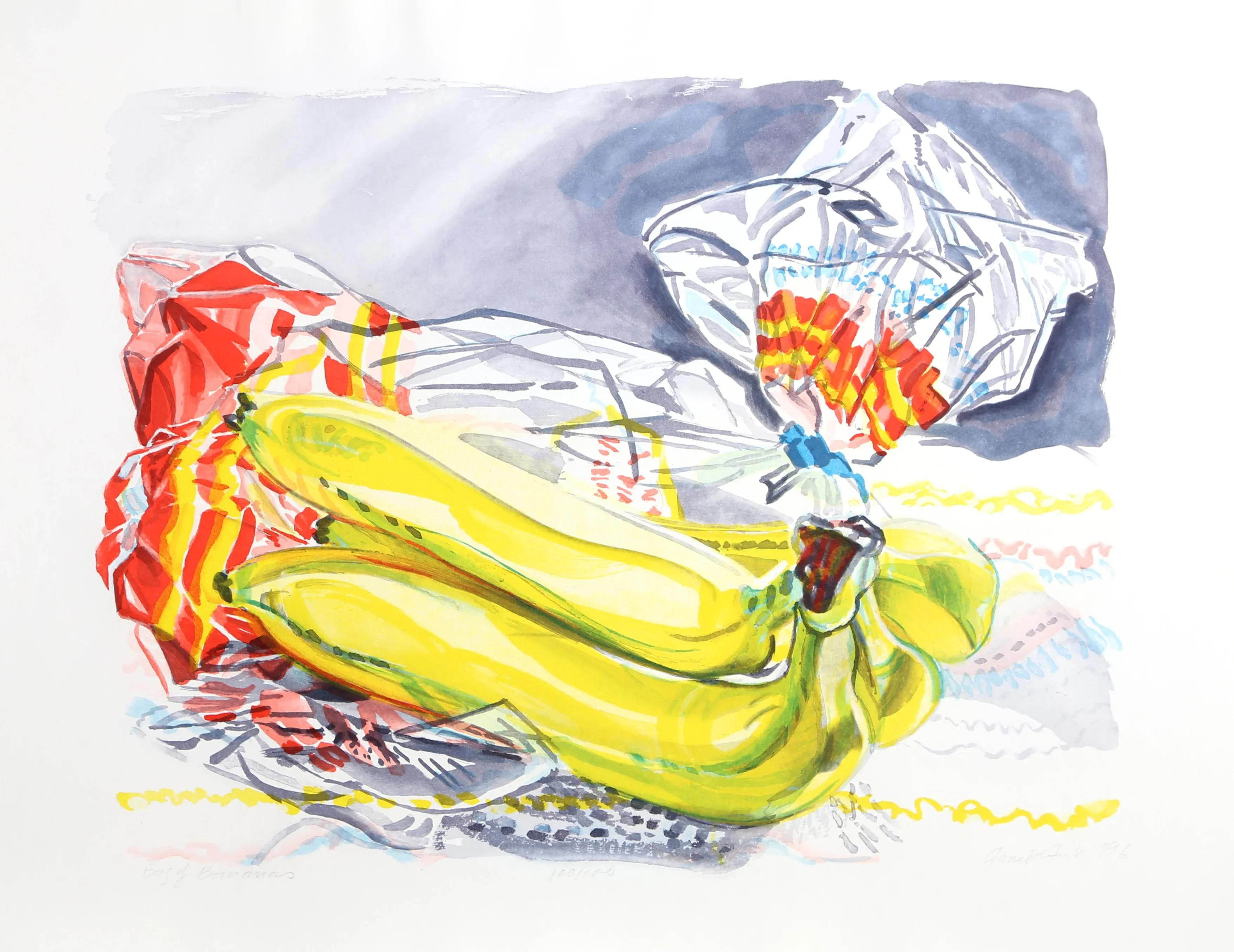 Janet Fish, "Bag of Bananas", Fruit Still Life | Chairish
